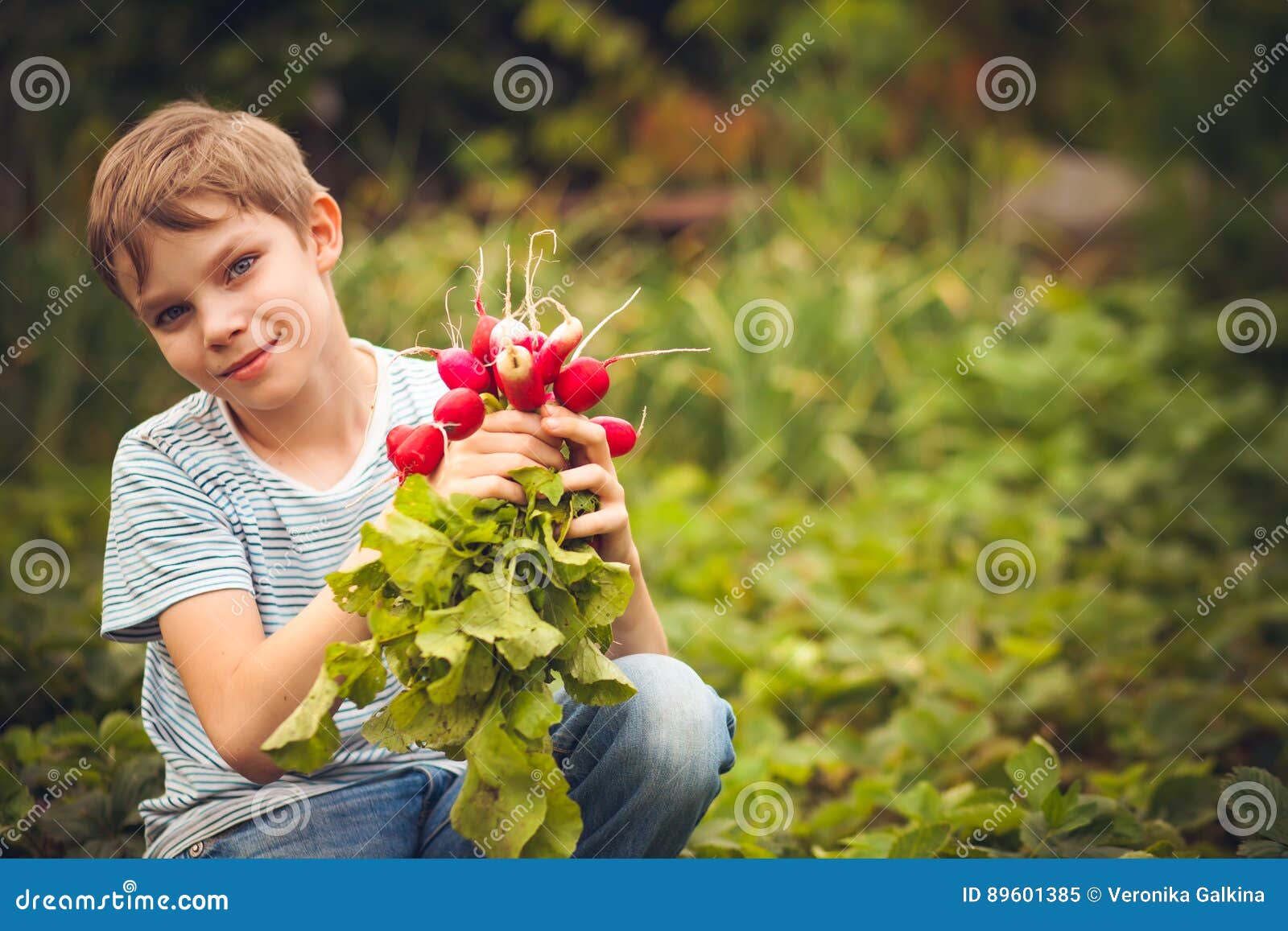Harvest of radishes stock image. Image of fresh, botanical - 89601385