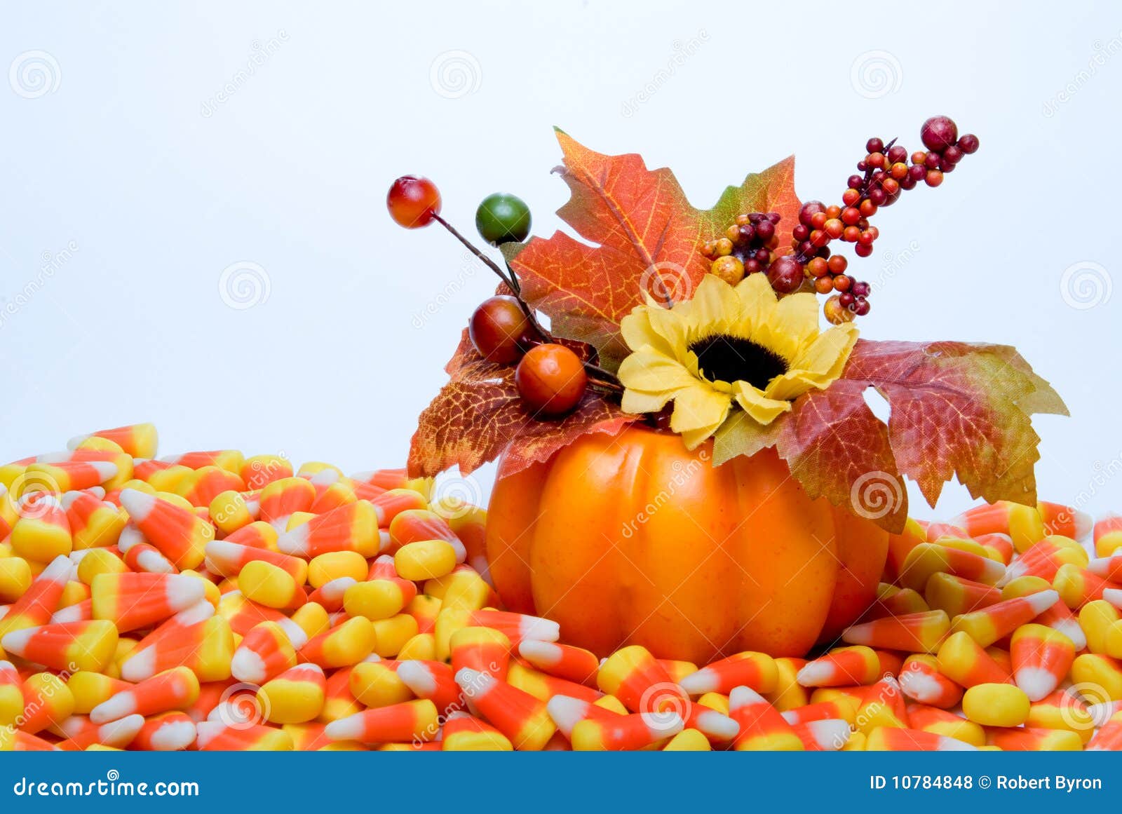 Harvest Scene stock photo. Image of holiday, pieces, autumn - 10784848