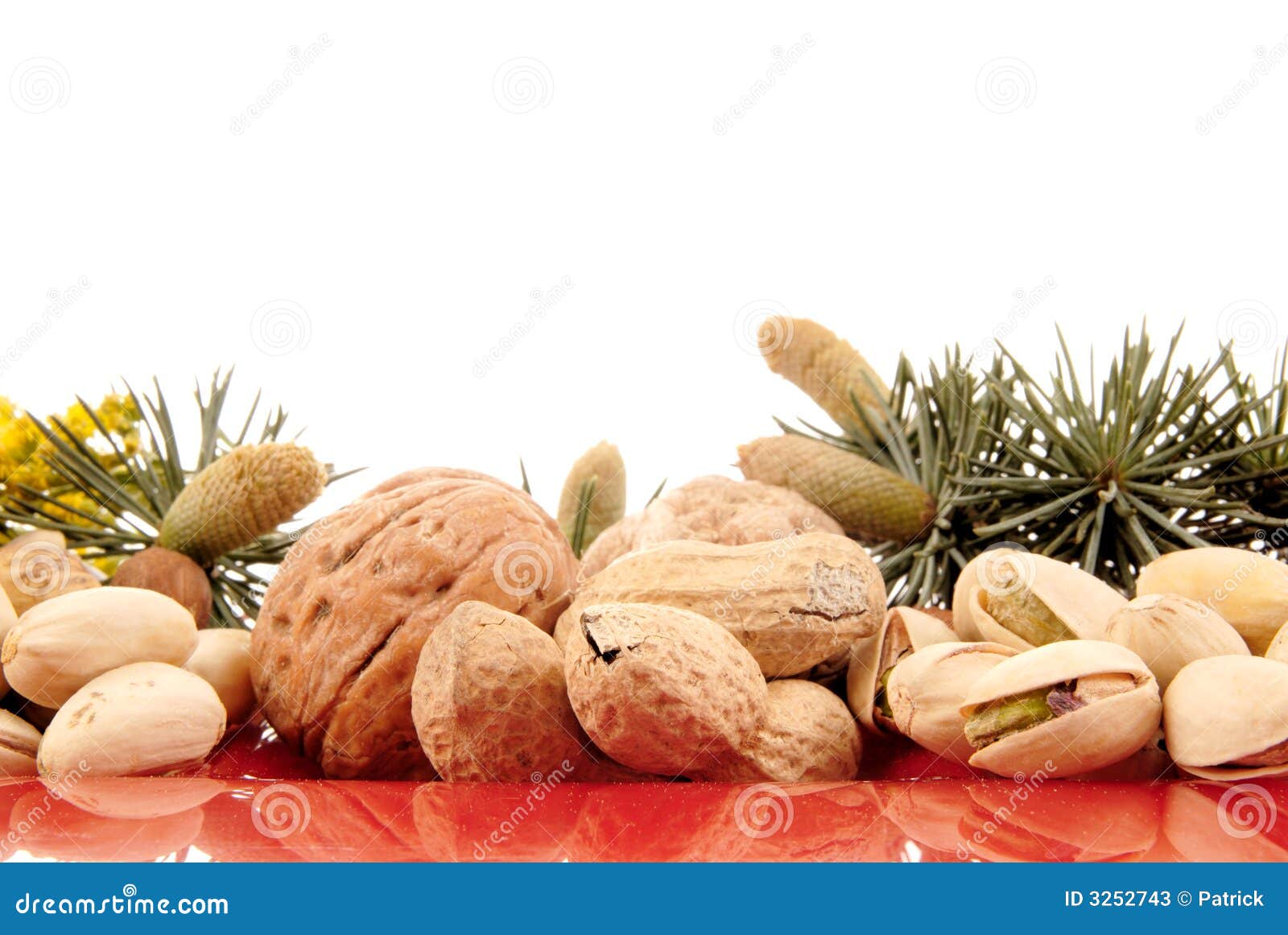 Harvest season, nuts stock image. Image of season, pistachio - 3252743
