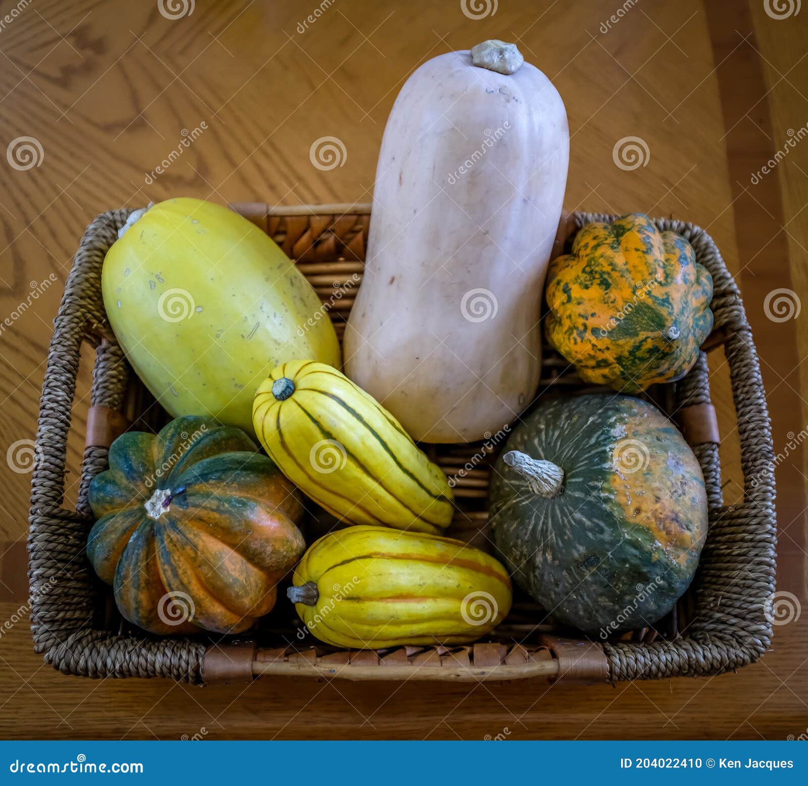 Harvest Squash in a Basket for Fall Various Types Stock Photo - Image ...