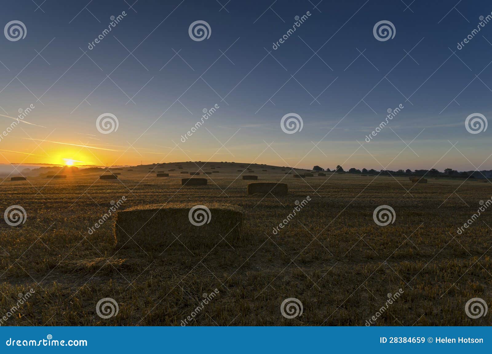 Harvest Sunrise stock image. Image of crop, farmland - 28384659