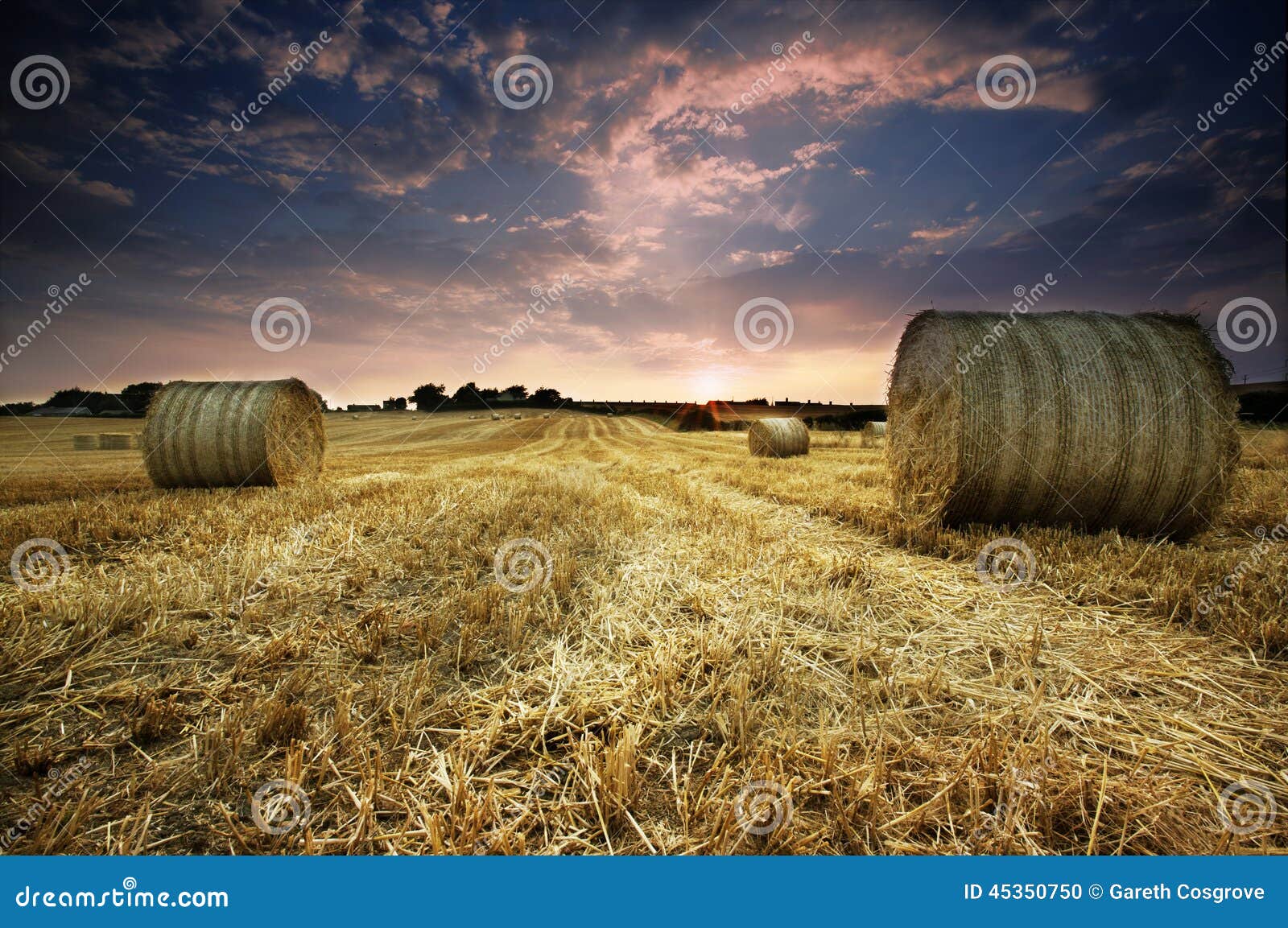 Harvest Sunset stock photo. Image of sunset, landscape - 45350750