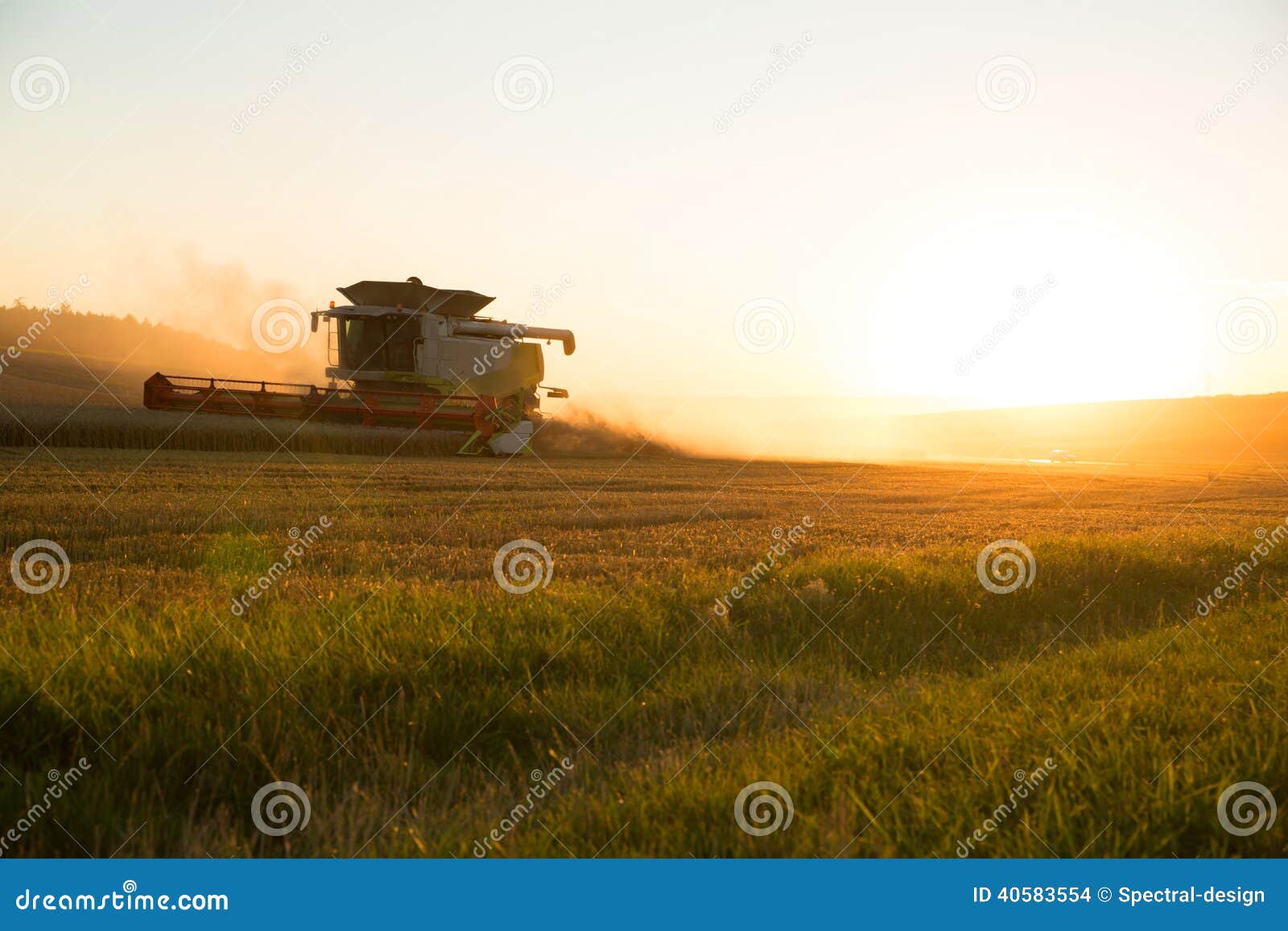 Harvest in the sunset stock photo. Image of crop, golden - 40583554