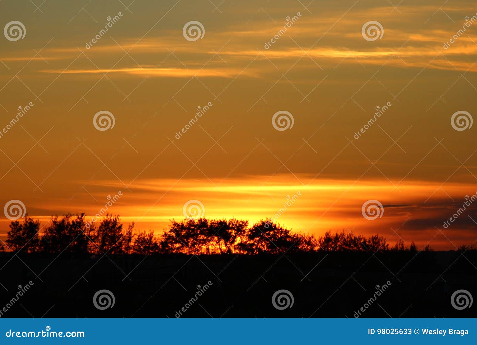 Harvest Sunset on the Prairies Stock Image - Image of autumn, sunset ...