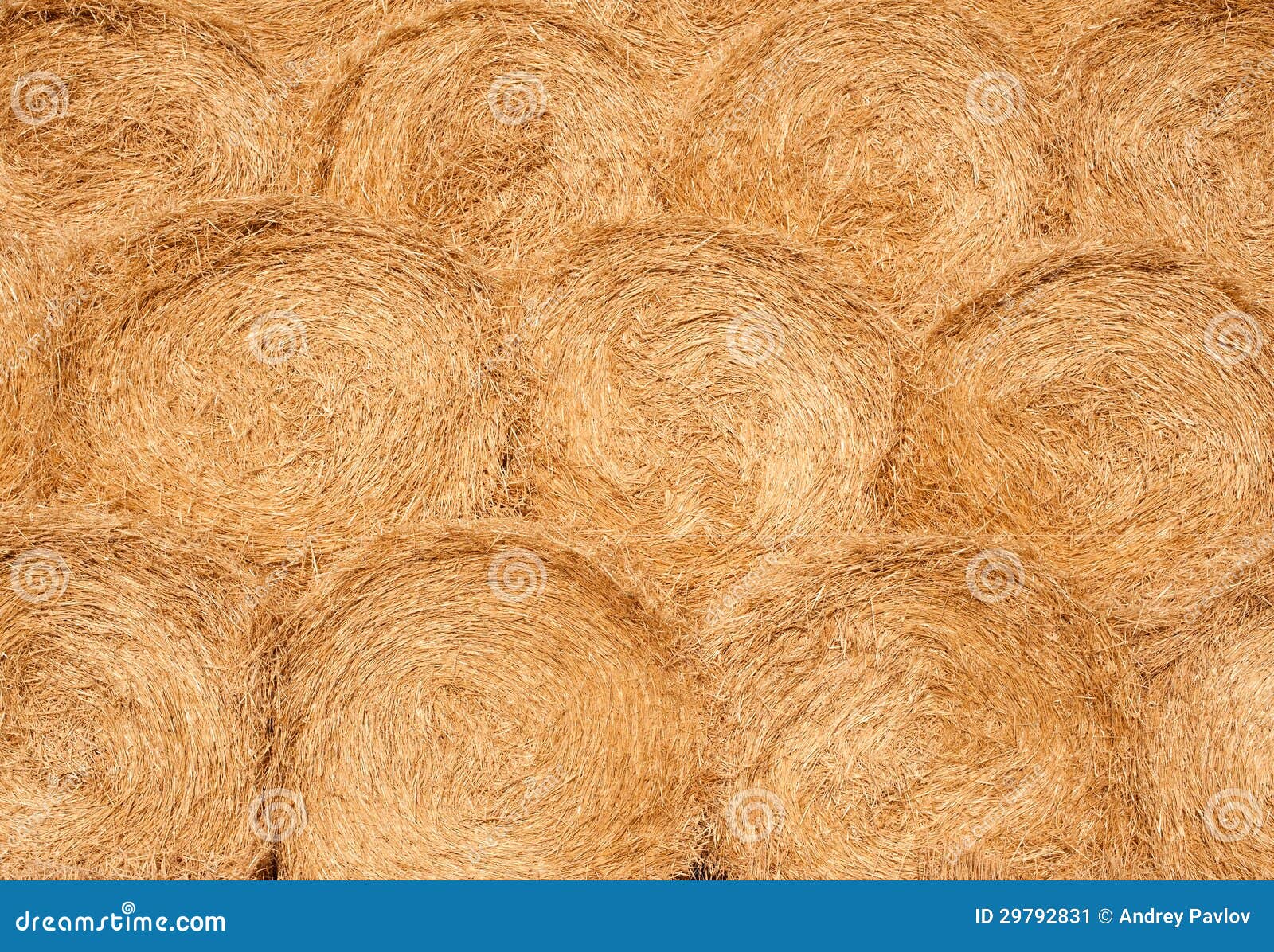 Harvest texture stock image. Image of agriculture, gold - 29792831