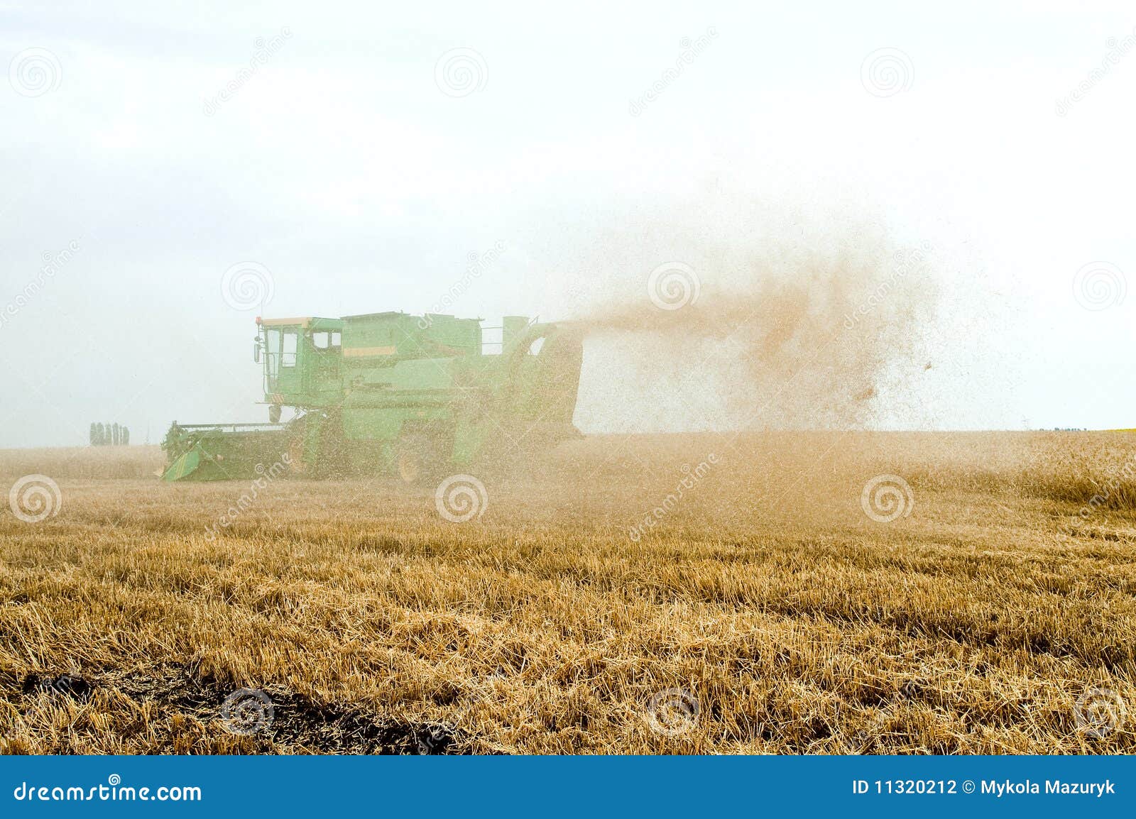 Harvest time stock photo. Image of scenic, cropland, summer - 11320212
