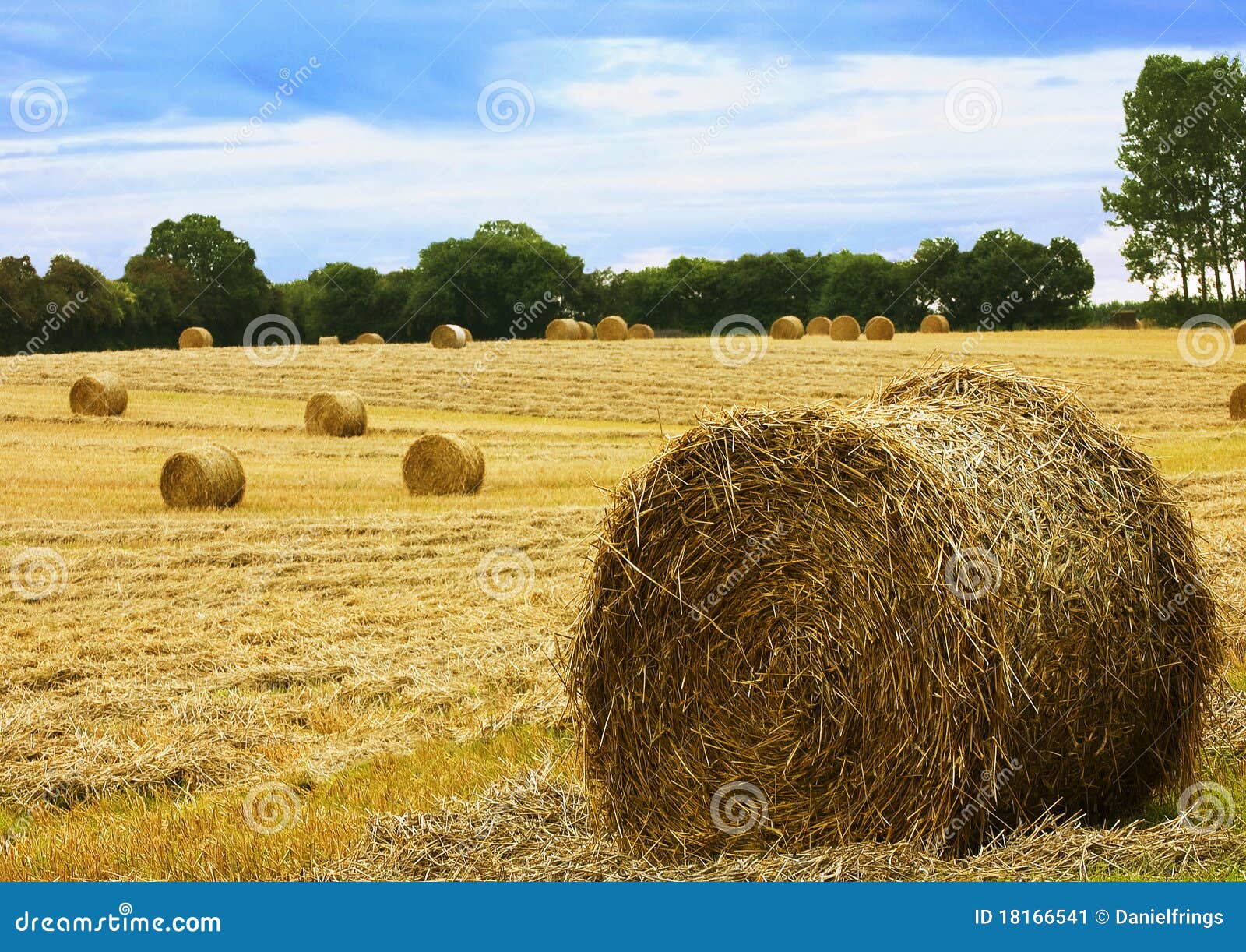 Harvest Time - Bringing in the Corn and Hay Stock Image - Image of food ...