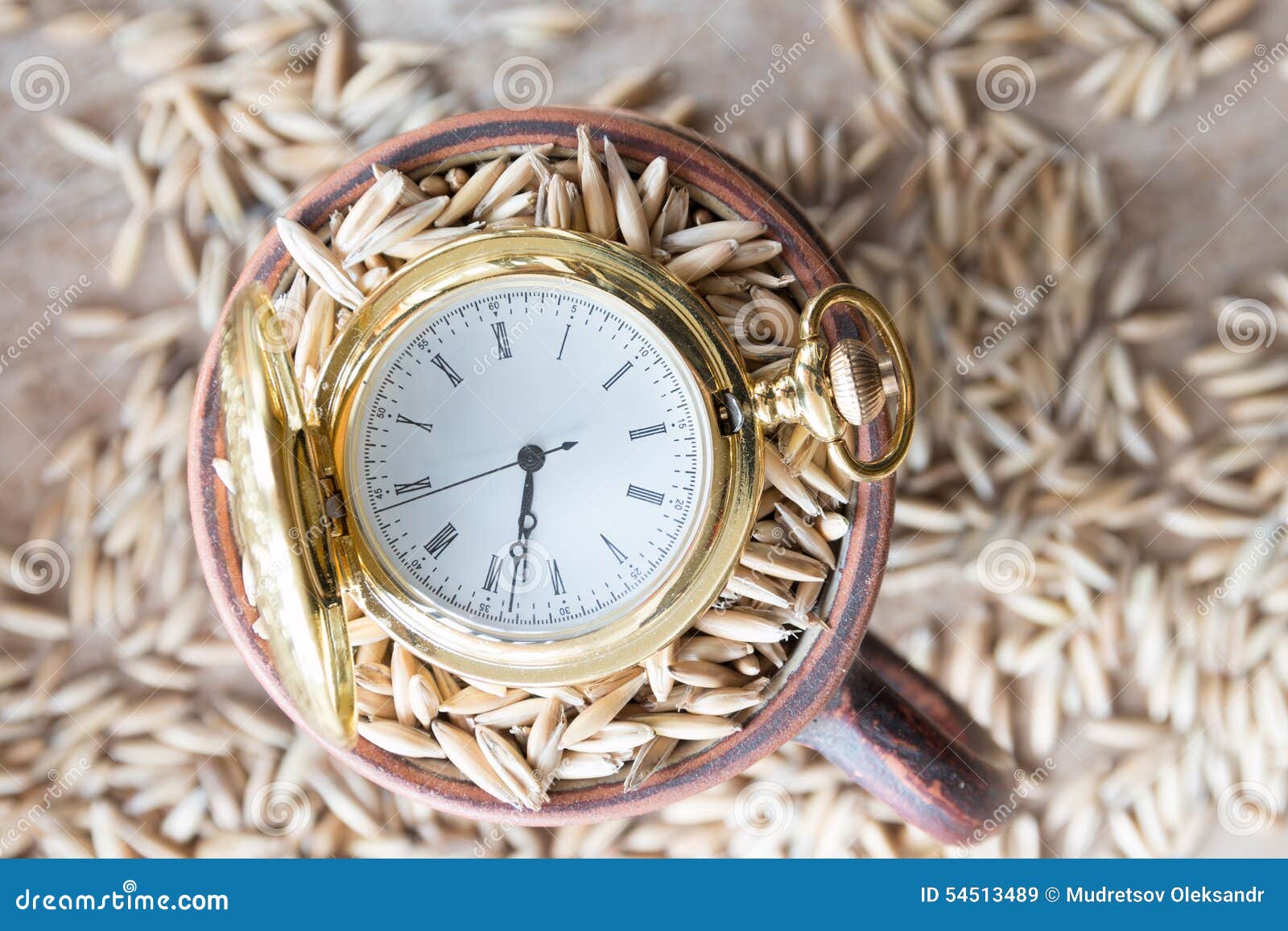 Harvest time stock image. Image of plant, field, lharvesting - 54513489