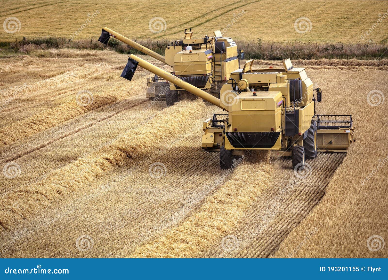 Harvest Time of Wheat Crop with Two Combine Harvesters Stock Image ...