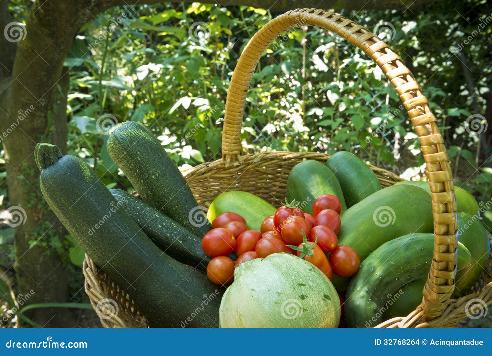 Harvest in the Vegetable Garden Stock Photo - Image of organic, plant ...