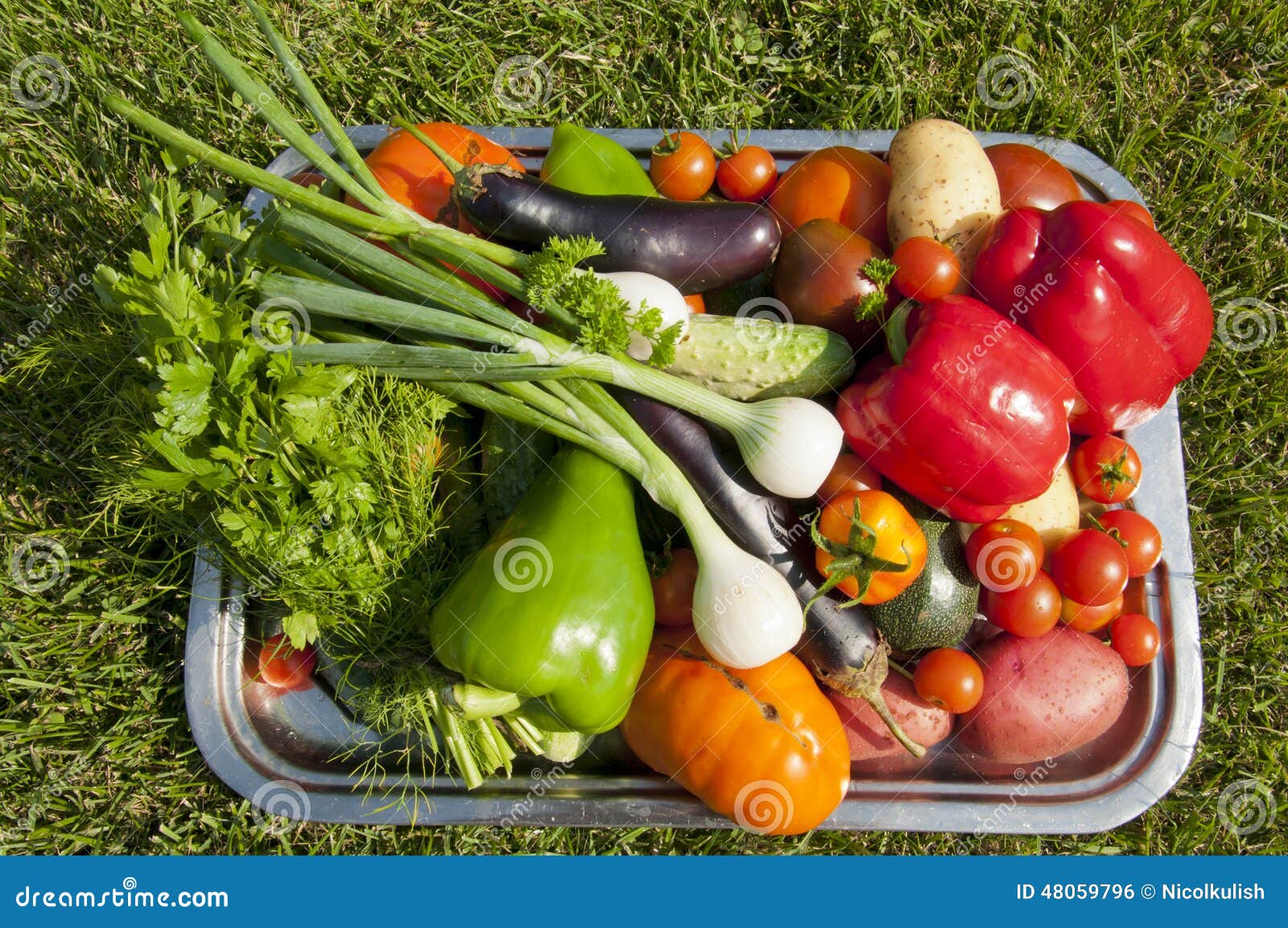 Harvest of vegetables stock photo. Image of drop, organic - 48059796