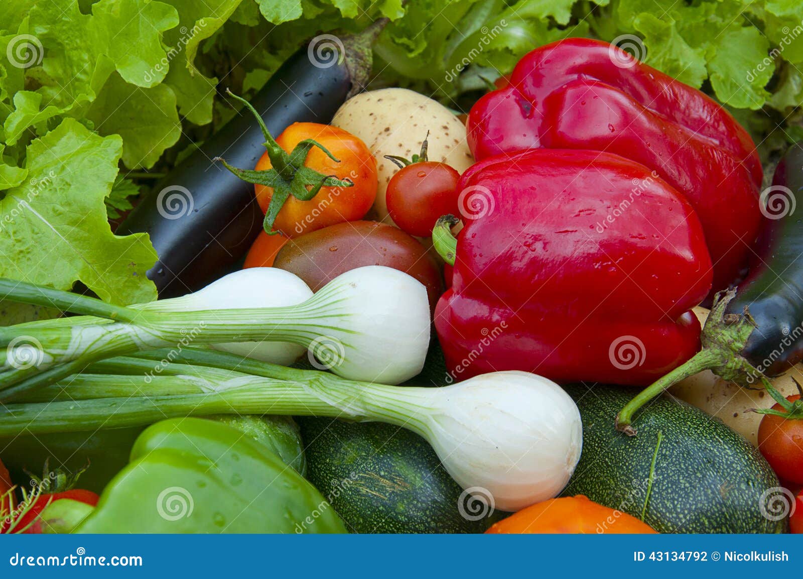 Harvest of vegetables stock photo. Image of drop, ecology - 43134792