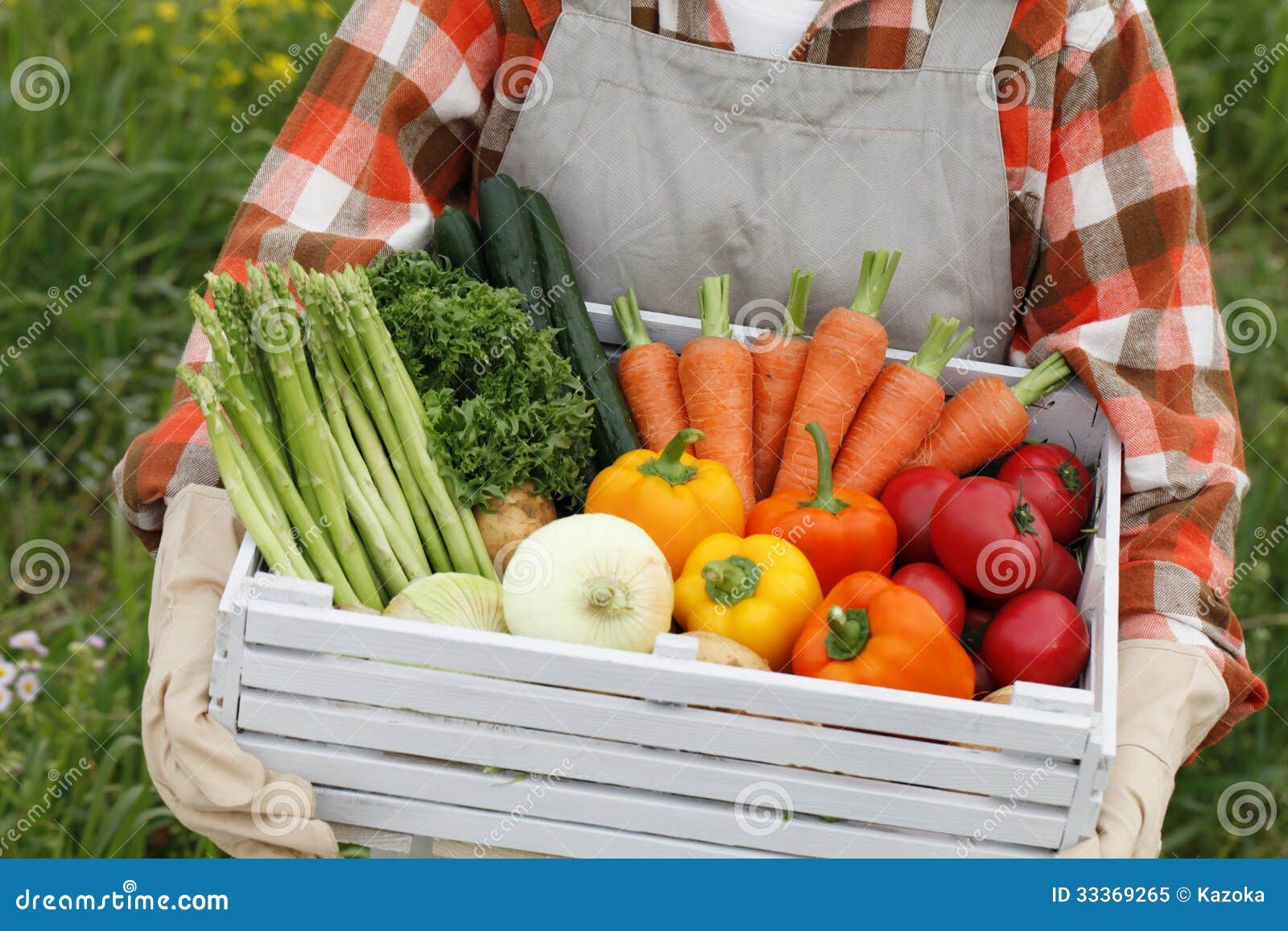 Harvest of vegetables stock image. Image of apron, farmer - 33369265