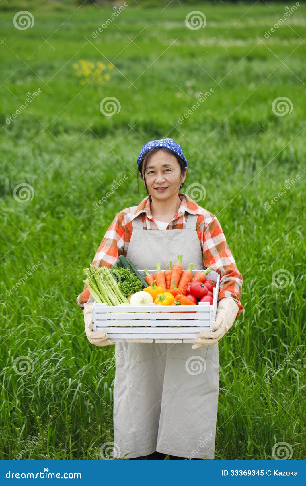 Harvest of vegetables stock image. Image of growth, farm - 33369345