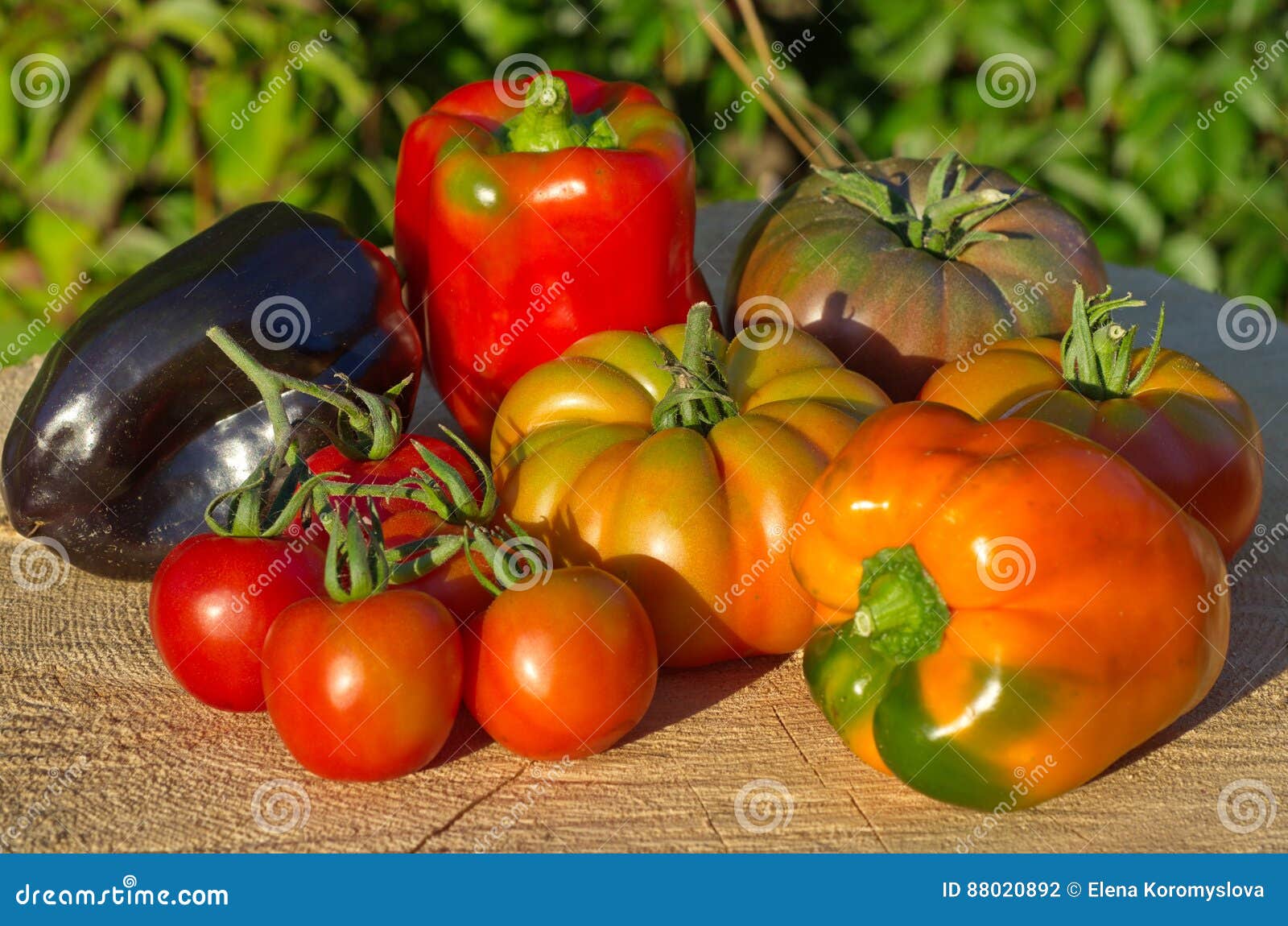 Harvest Vegetables on a Stump Stock Photo - Image of summer, pepper ...