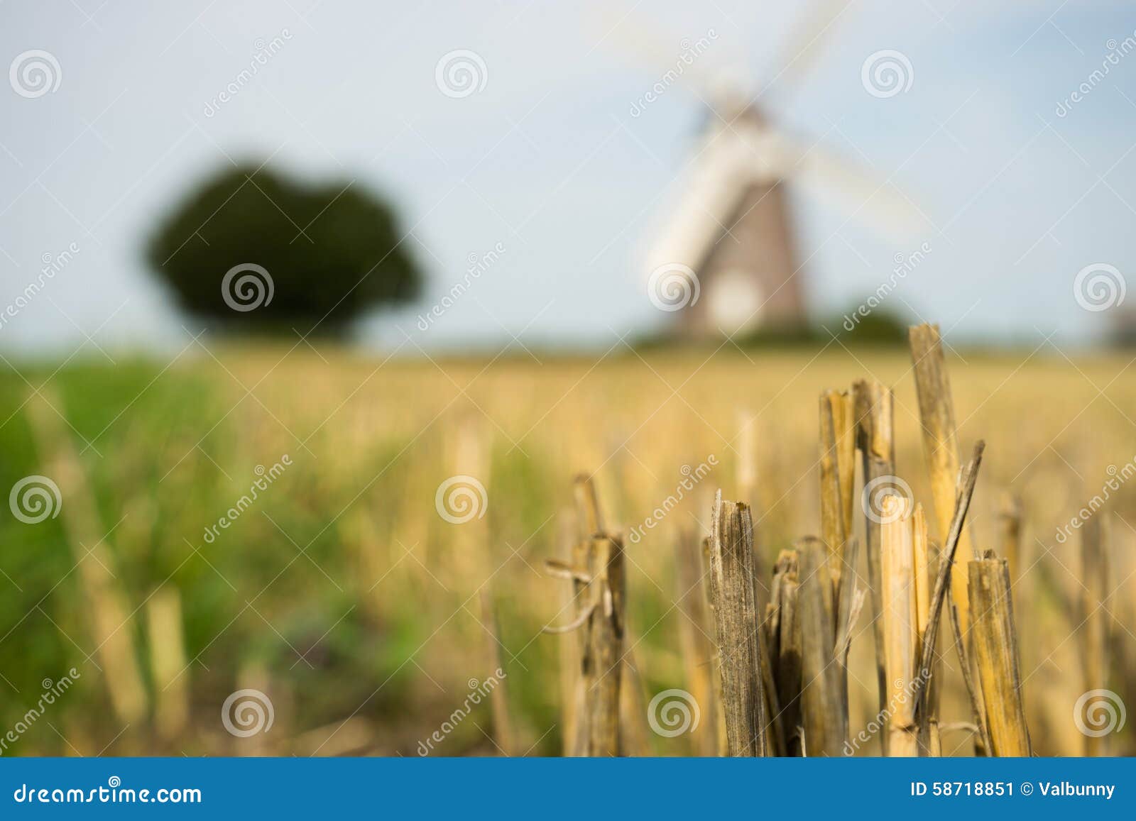 Harvest Windmill with Wheat Field Stock Image - Image of focus ...