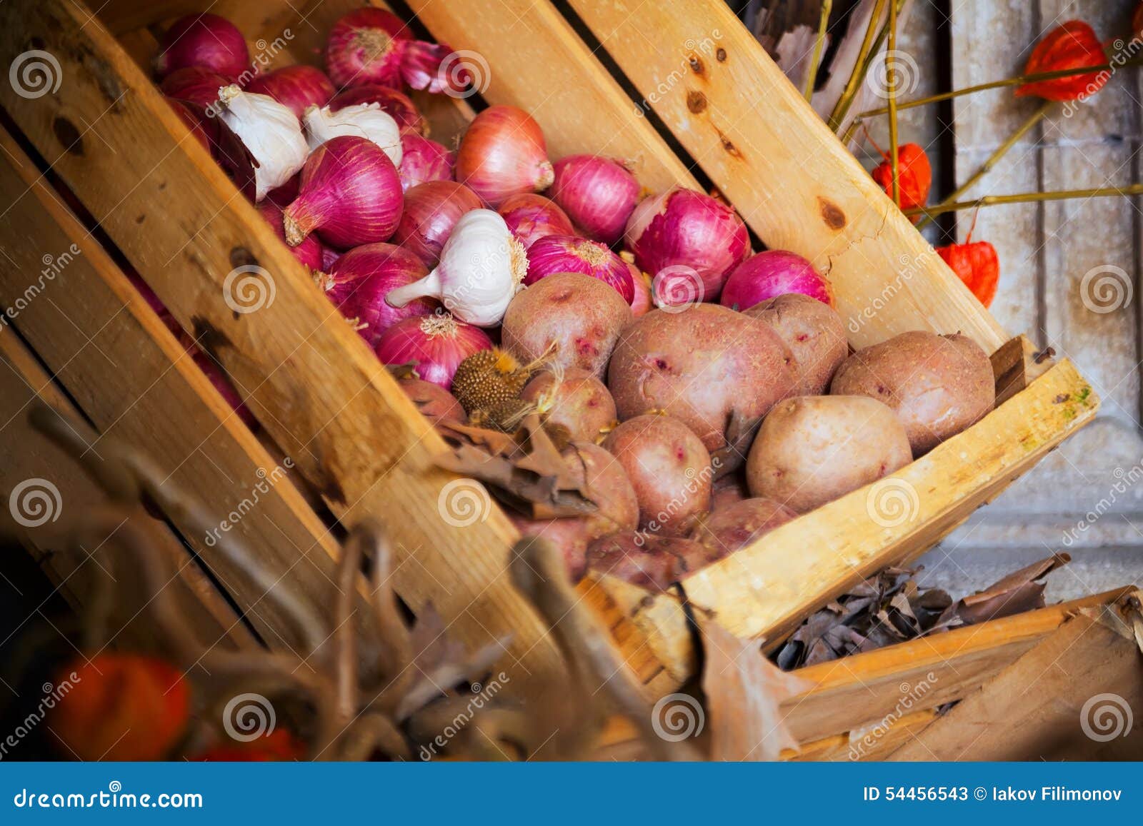 Harvest in wooden box stock image. Image of harvested - 54456543