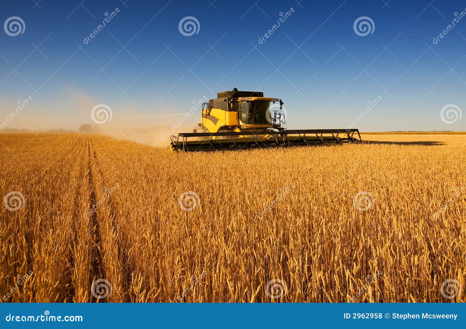 Harvest work stock photo. Image of crop, produce, golden - 2962958