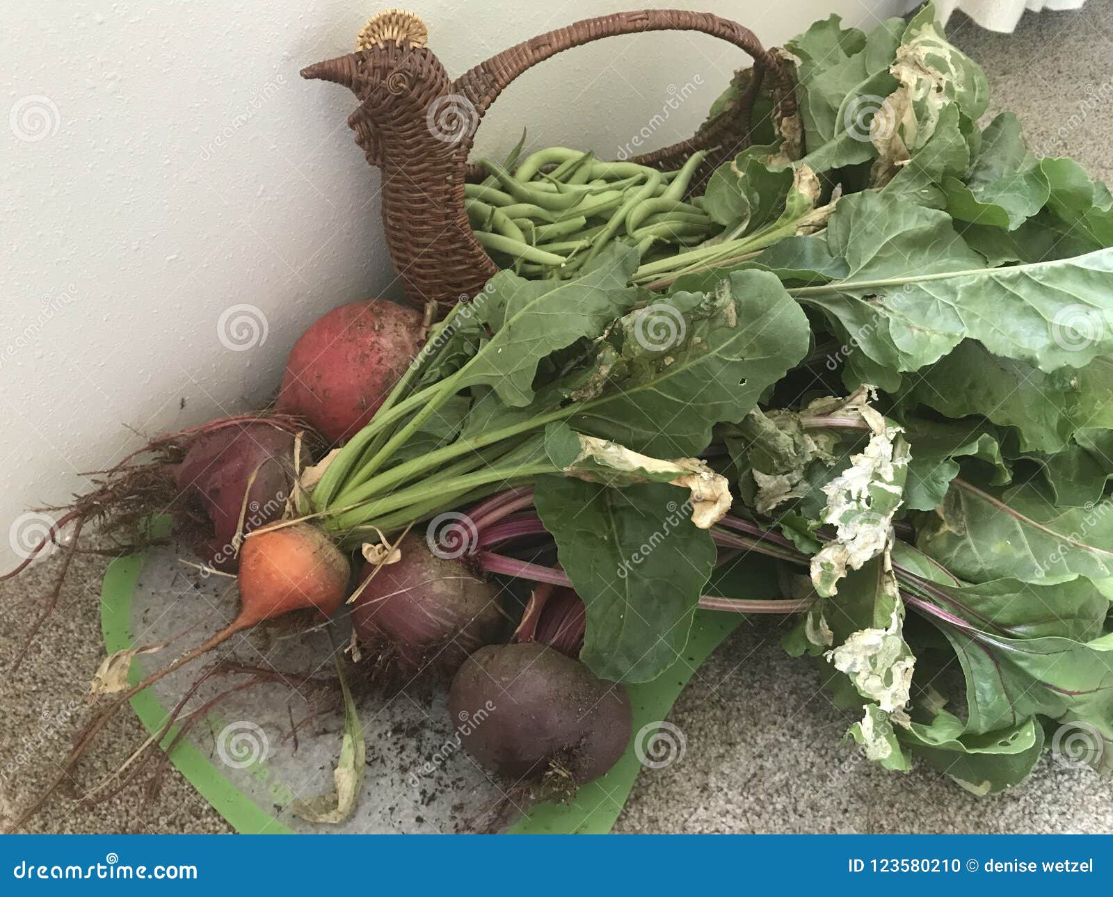 Harvested beets stock photo. Image of bunch, greens - 123580210