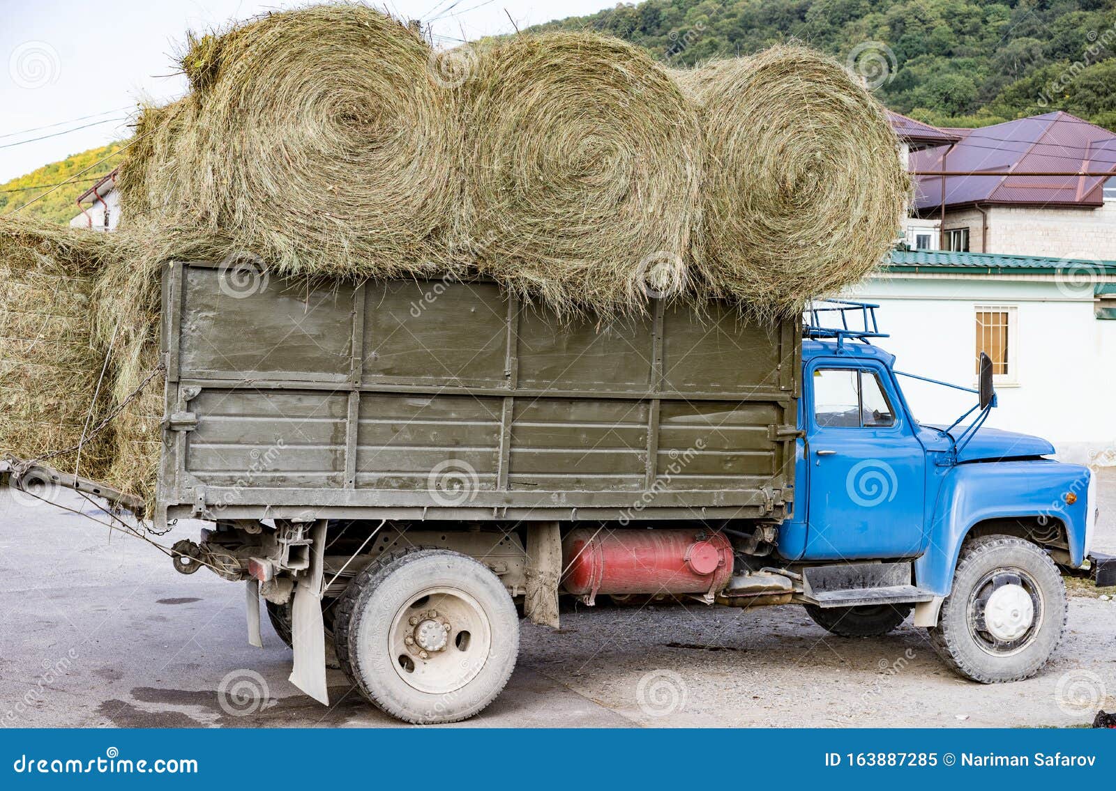 Harvested Bound Hay for Drying Stock Image - Image of land, field ...