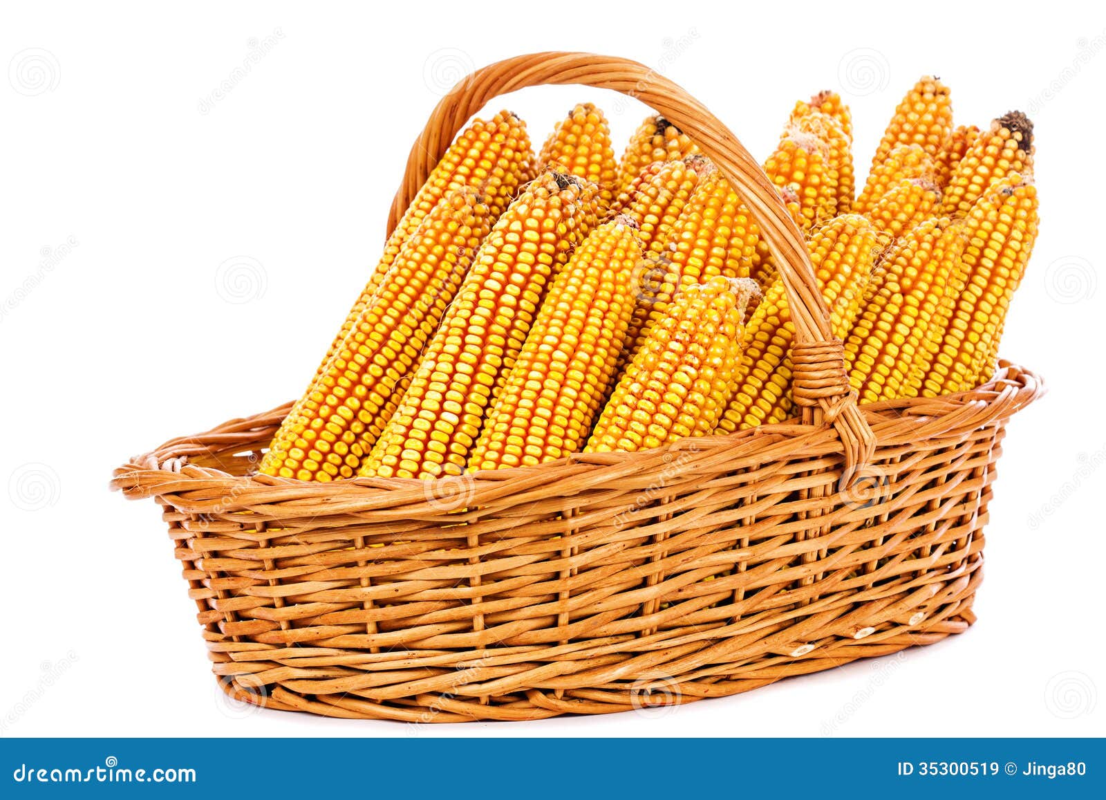 Harvested Corn in a Basket on White Background Stock Image - Image of ...