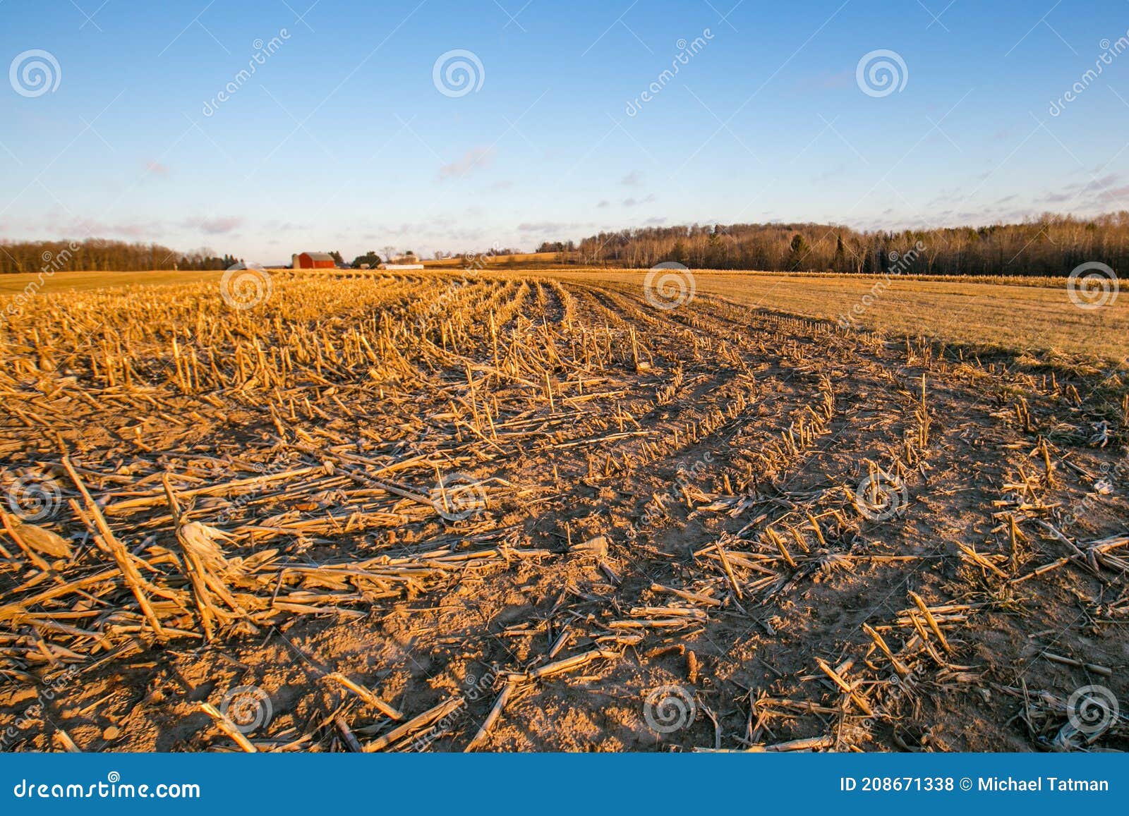 Harvested Corn Field with Farm in the Background in Central Wisconsin ...