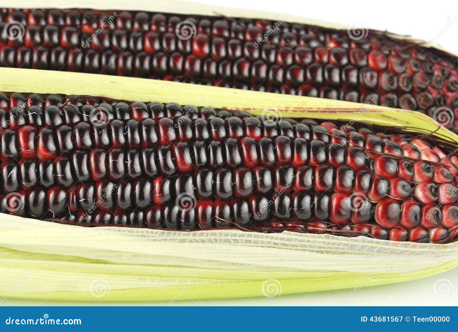 Harvested Corn in Red and Purple Colors Stock Image - Image of ...