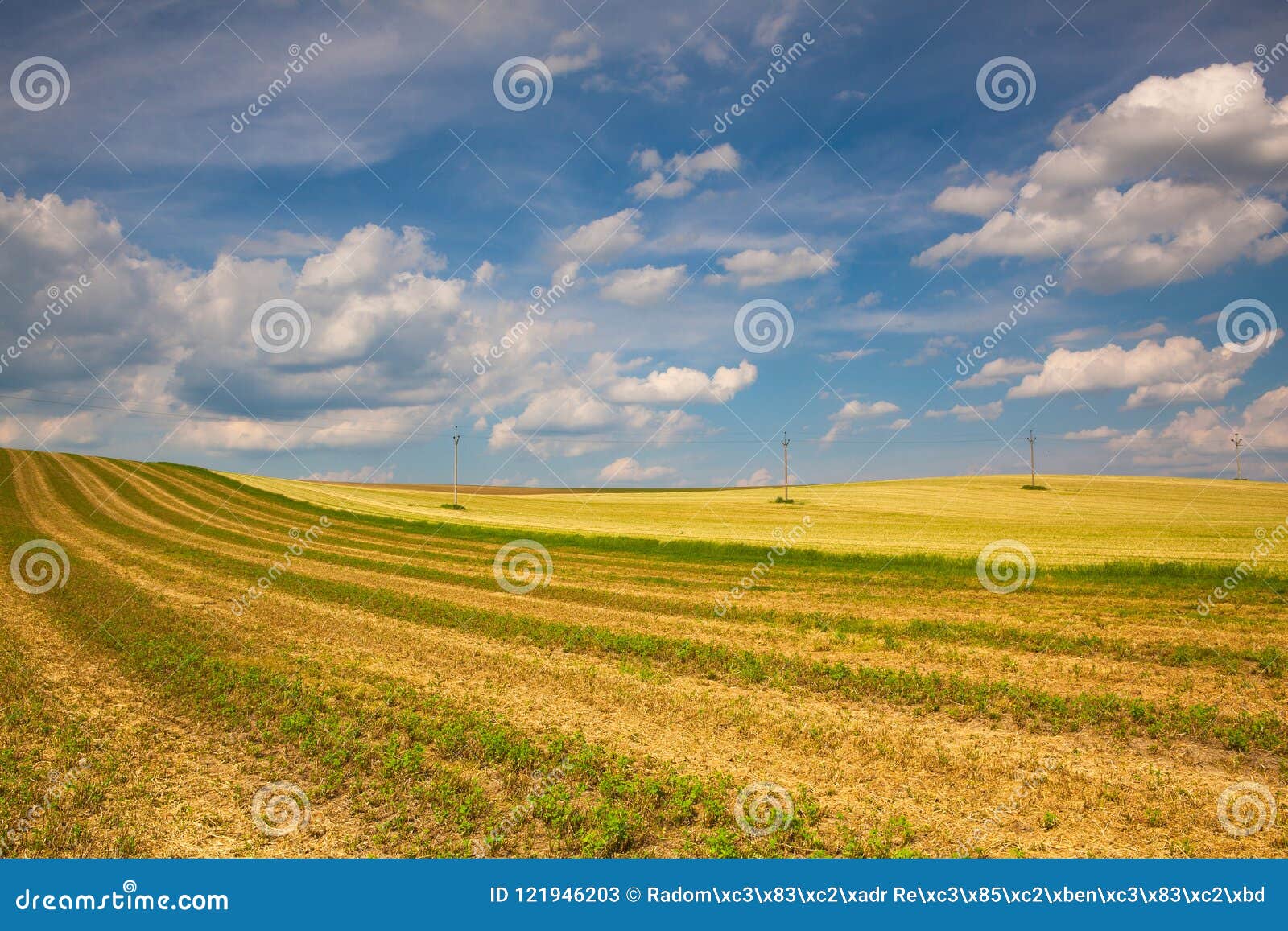Harvested Empty Field on the Hills Stock Image - Image of countryside ...