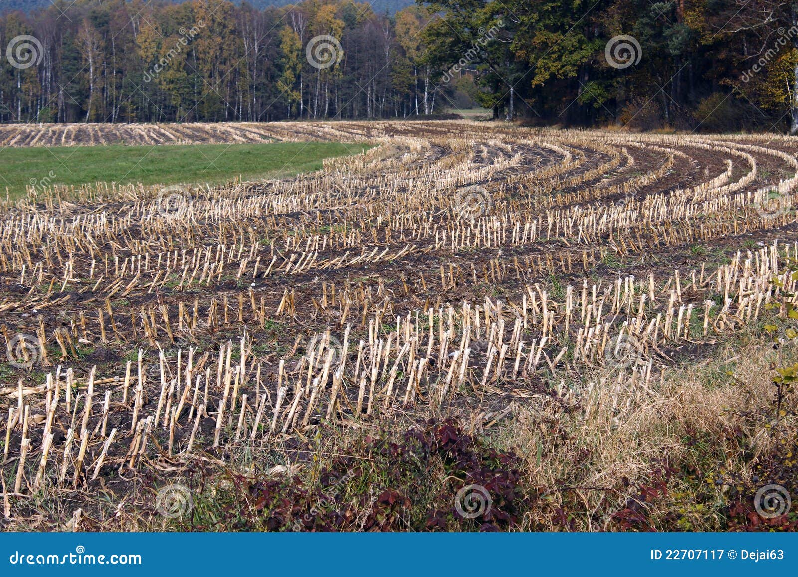 A harvested field stock image. Image of farming, golden - 22707117