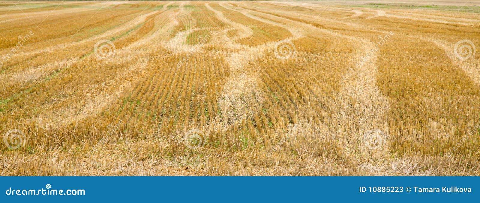 Harvested filed texture stock image. Image of track, texture - 10885223