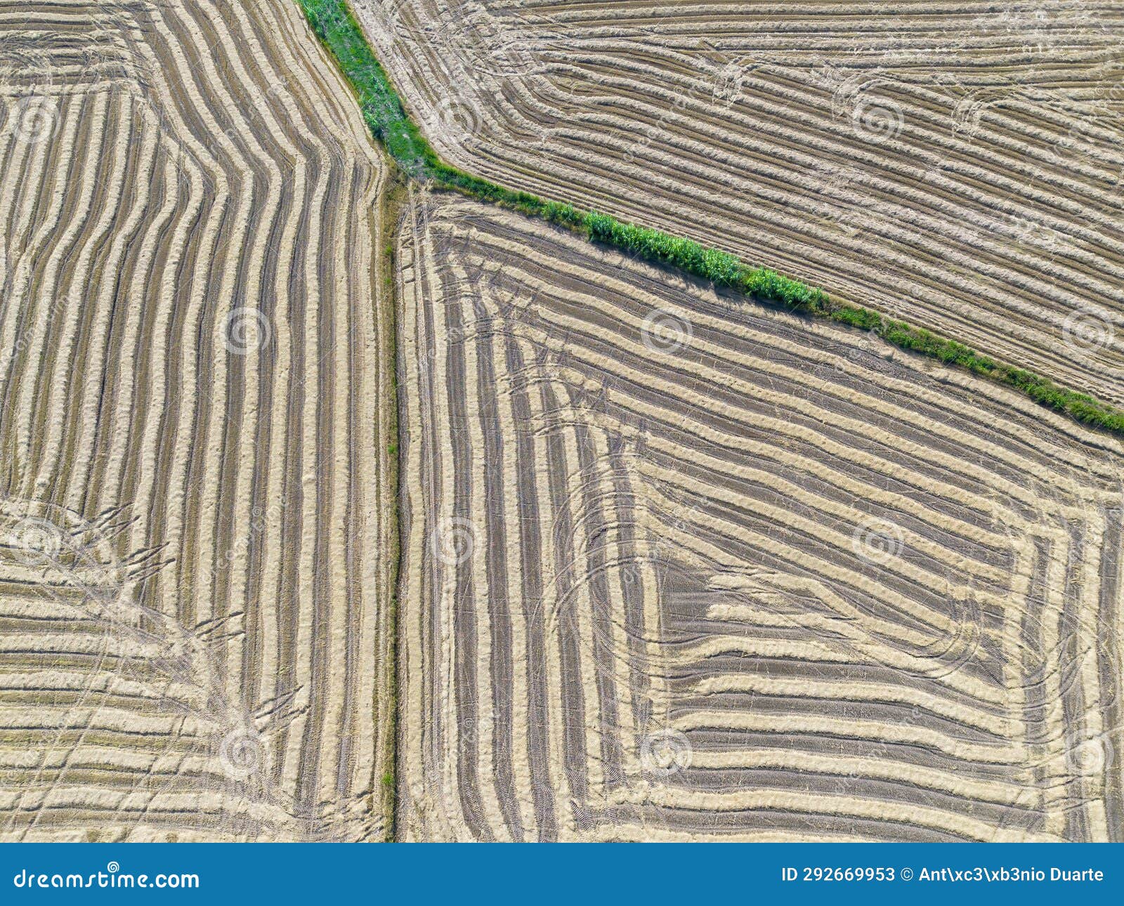 Harvested Rice Straw Forming Designs in a Field. Stock Image - Image of ...