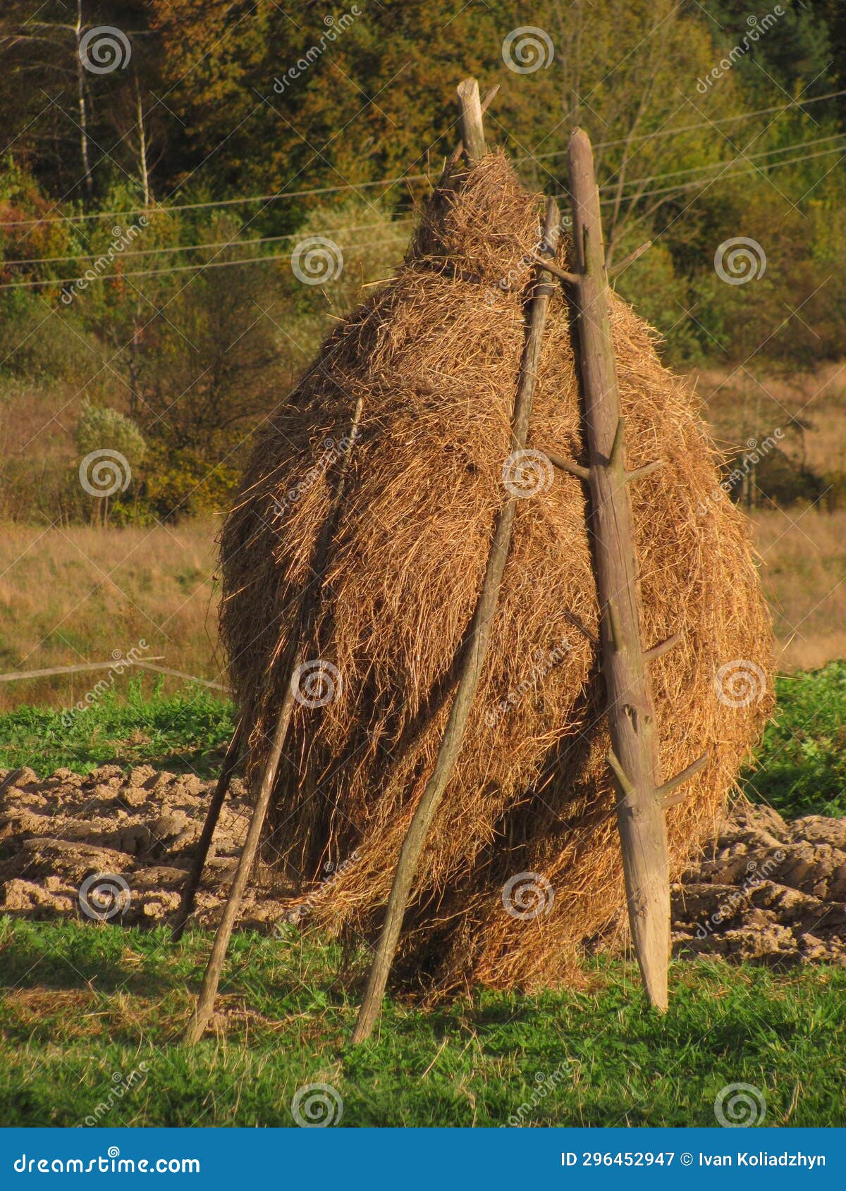 Harvested Stack of Hay in the Field for the Winter Stock Image - Image ...