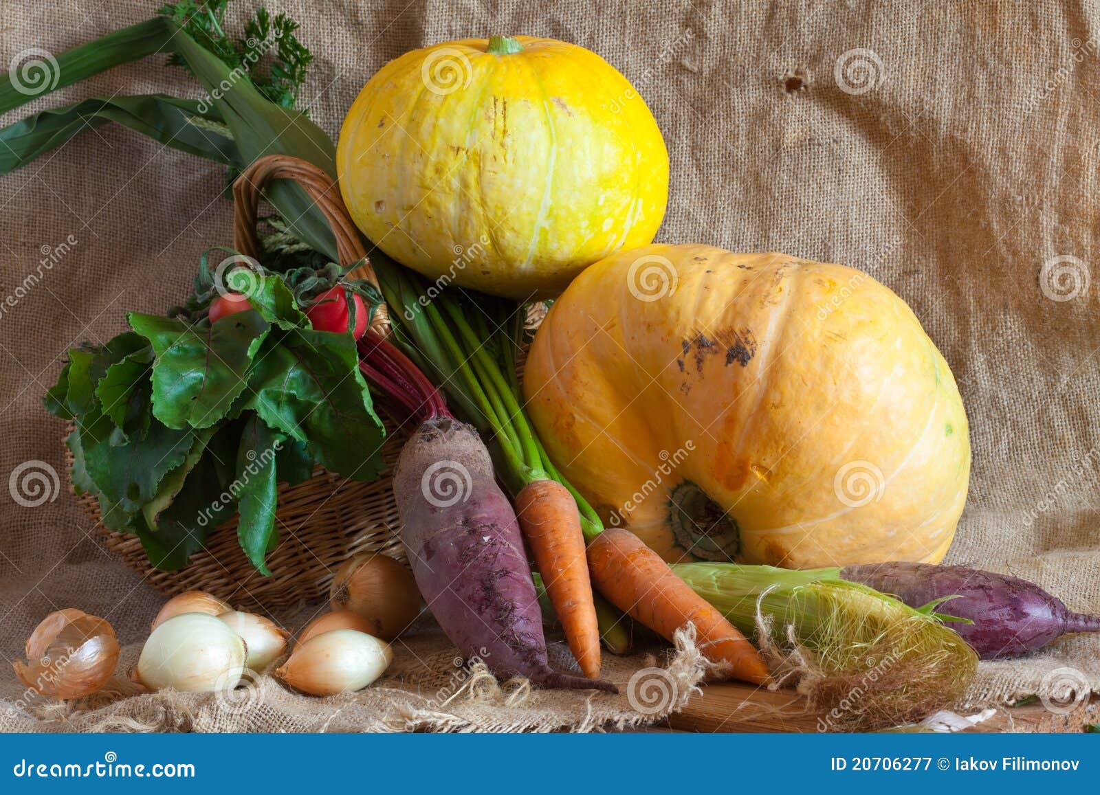 Harvested vegetables stock image. Image of garden, cabbage - 20706277