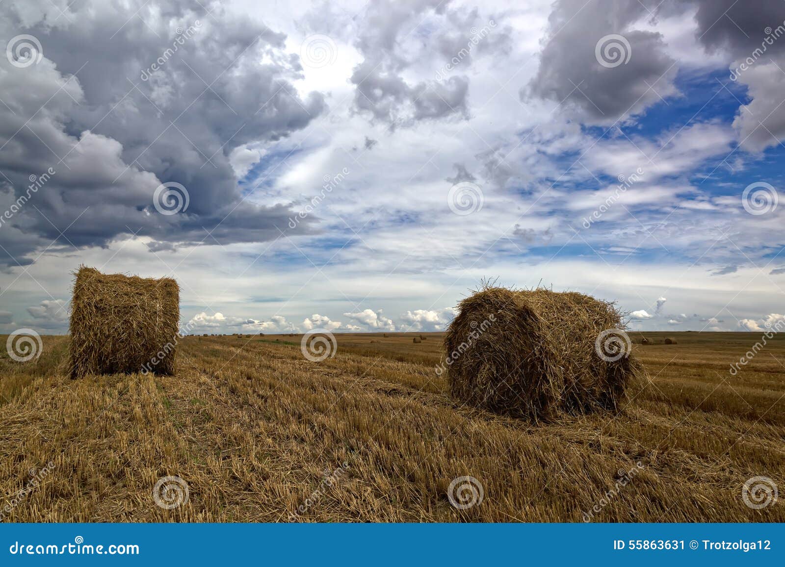 Harvested Wheat Field with Hay Rolls and a Stormy Sky Stock Image ...