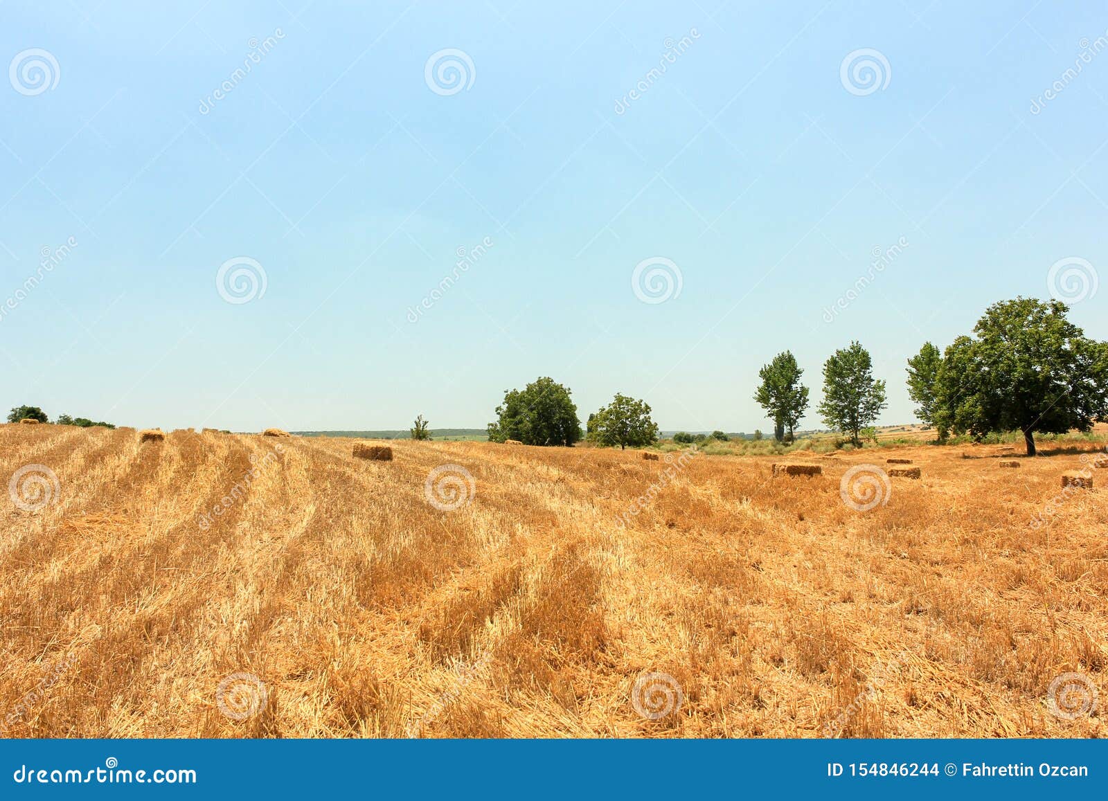 Harvested Wheat Field in Turkey Stock Photo - Image of field, anatolia ...
