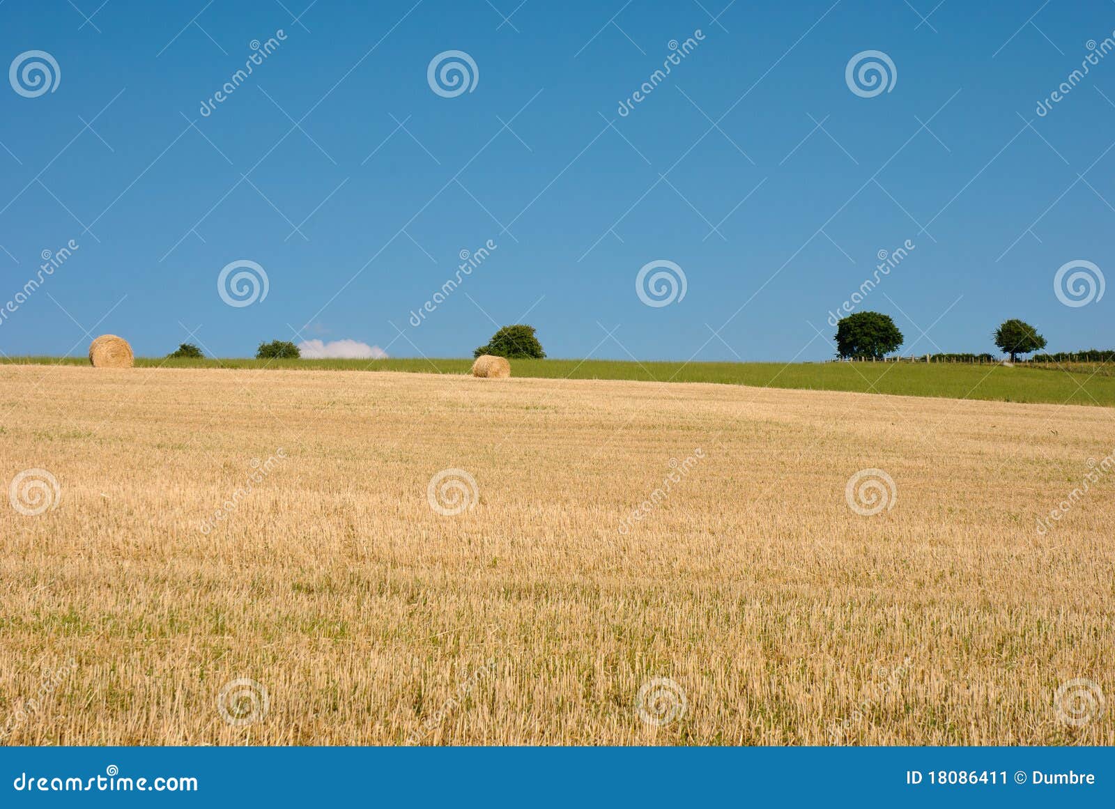 Harvested wheatfield stock image. Image of agriculture - 18086411