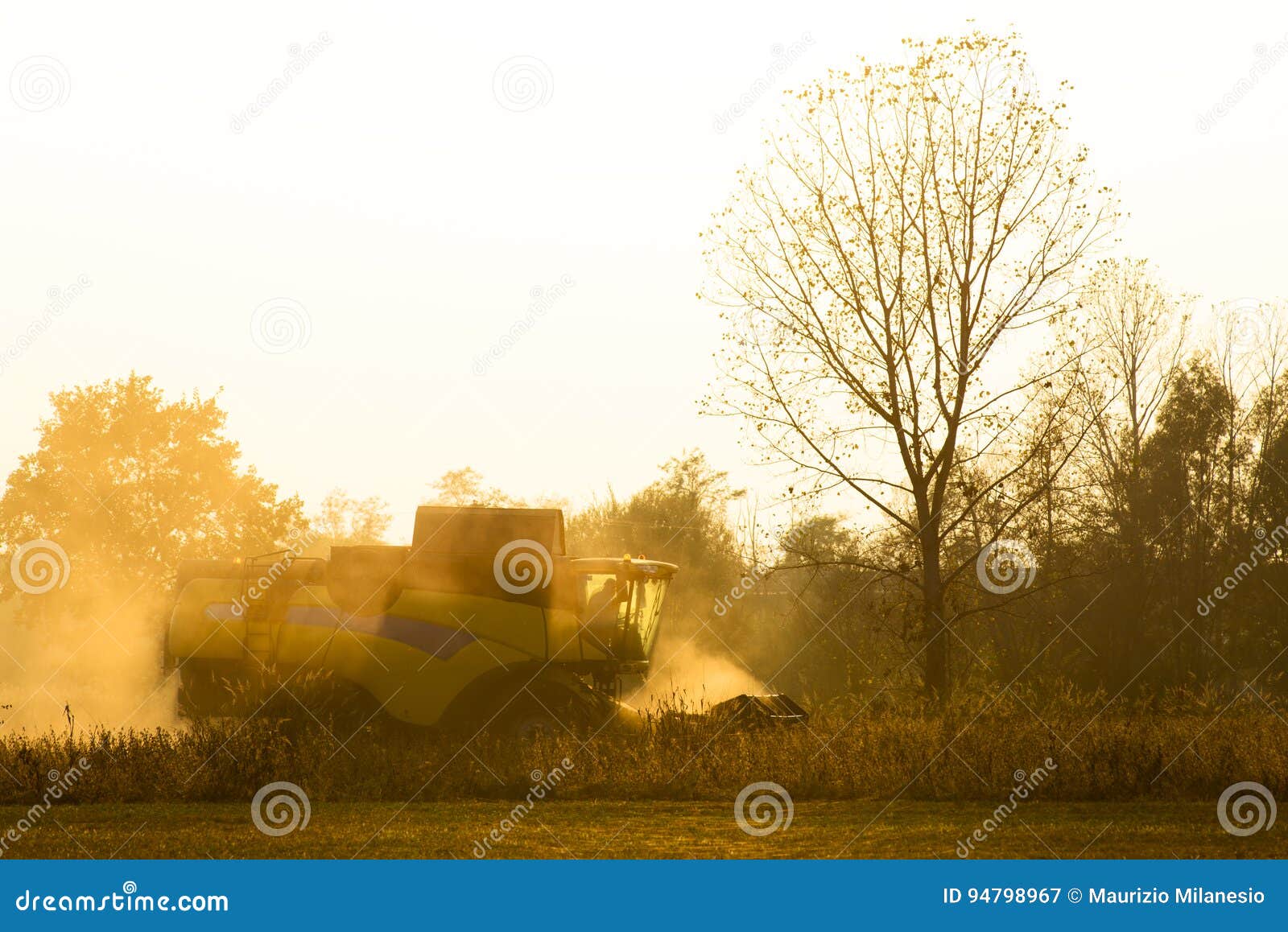 Harvester in Back Light Work in a Field at Sunset Stock Image - Image ...