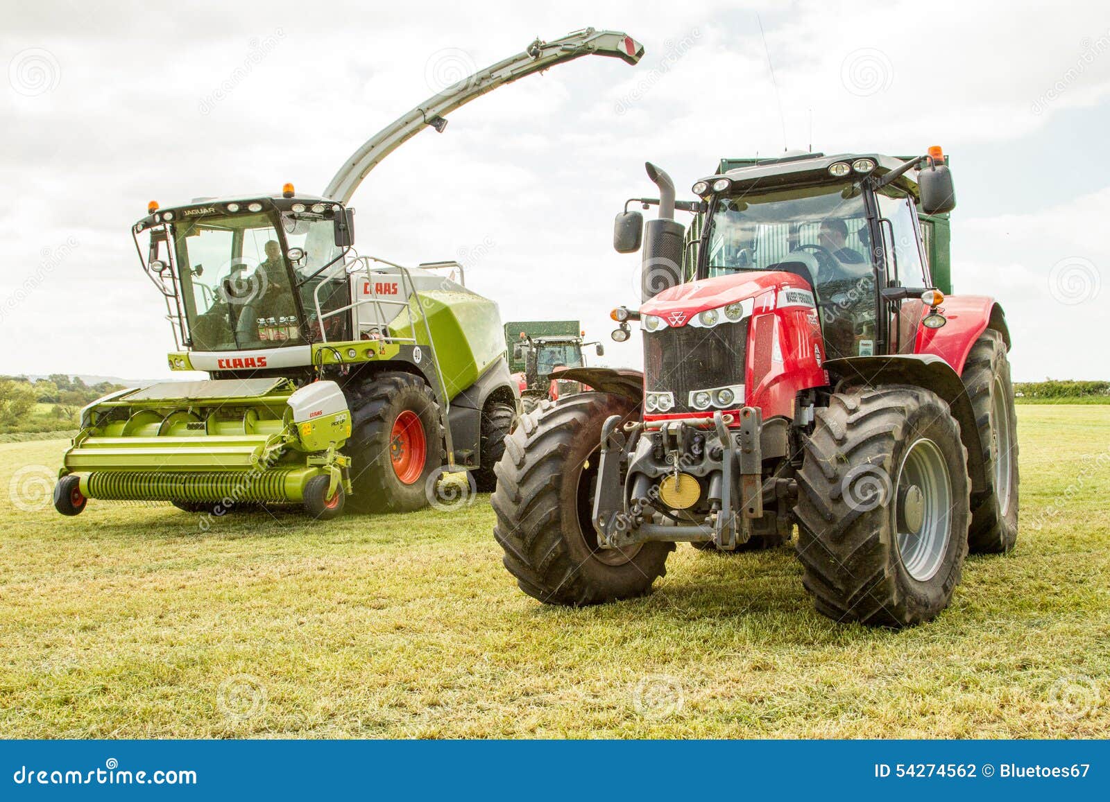 Harvester Cutting Field, Loading Silage into a Tractor Trailer ...
