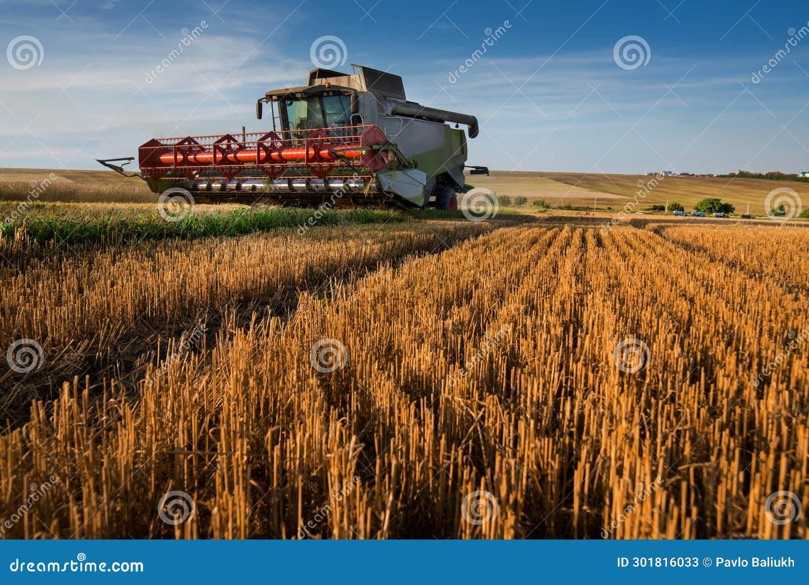 Harvester Cutting Stalks after Harvest, in the Field, Stubble Patterns ...