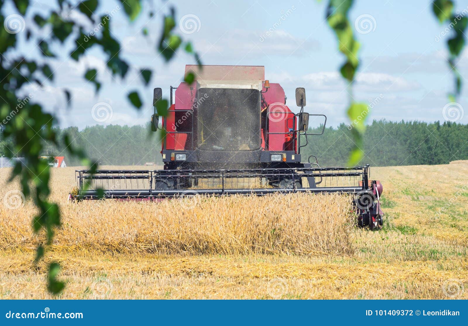 Harvesting in the field stock photo. Image of harvesting - 101409372
