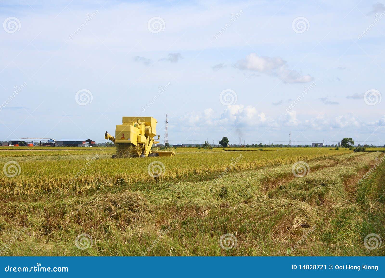Harvester Machine on Paddy Field Stock Image - Image of equipment ...