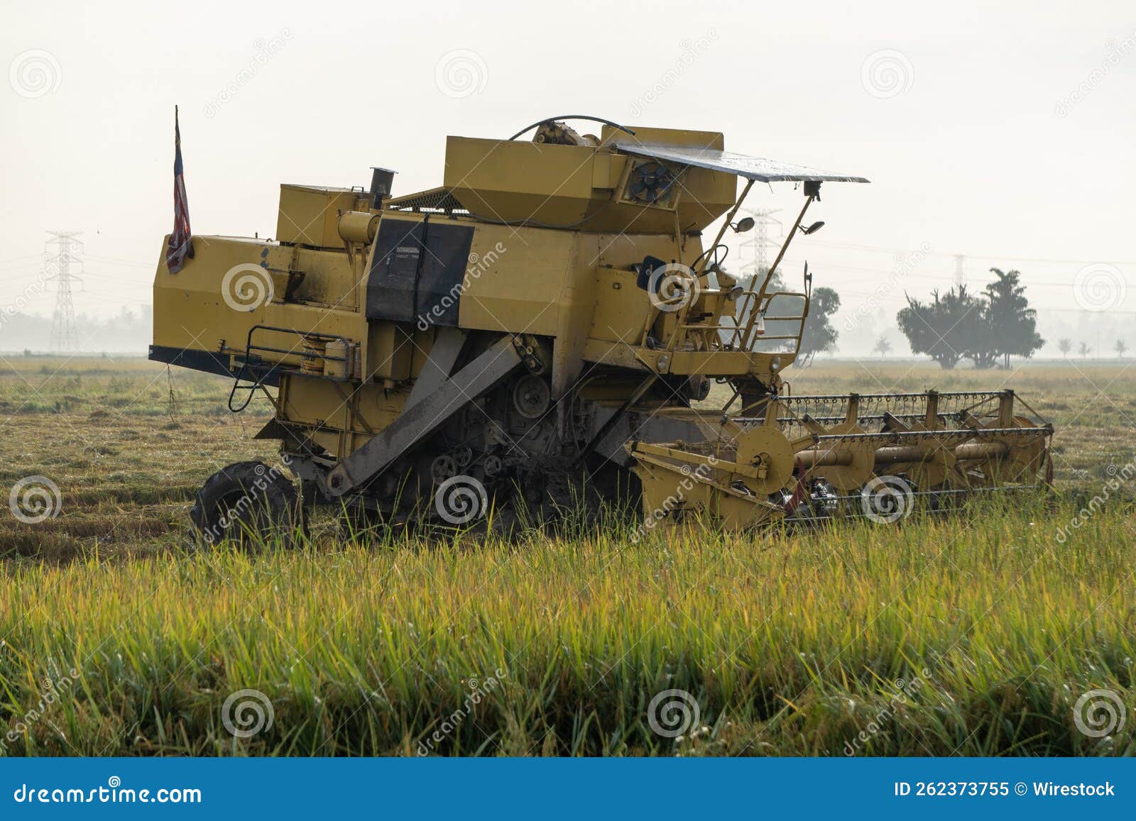 Harvester Machine in a Paddy Field Stock Image - Image of farm, vehicle ...