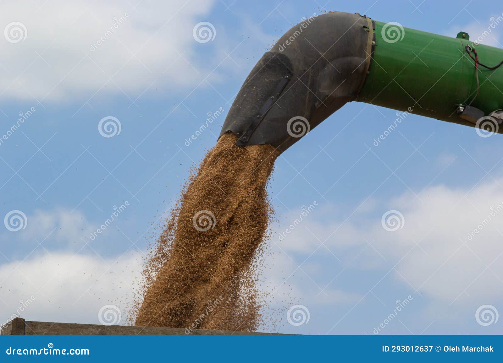 Harvester Unloading Wheat on the Background of the Sky with Clouds ...