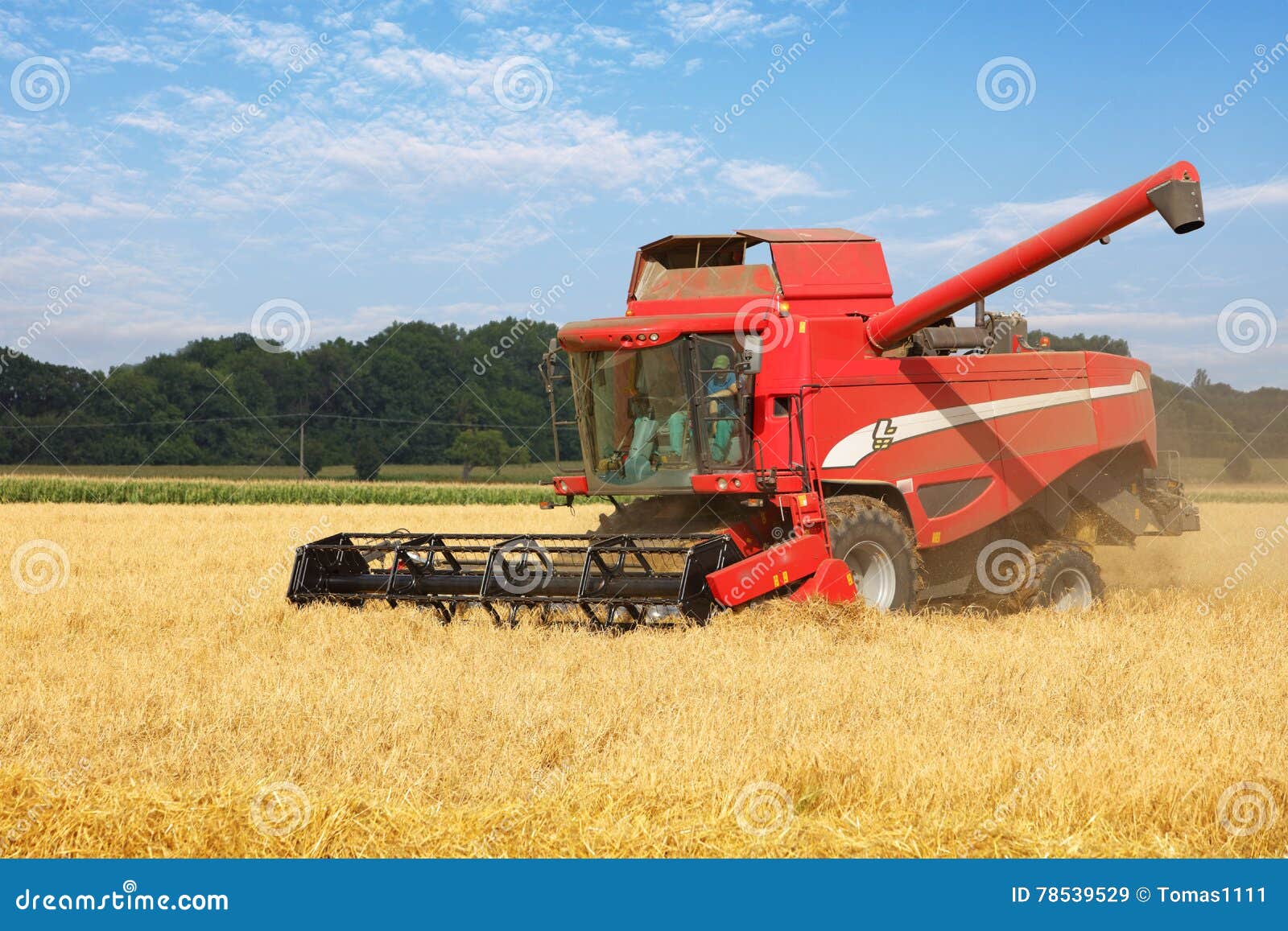 Harvester on Wheat Field, Harvesting Editorial Stock Image - Image of ...