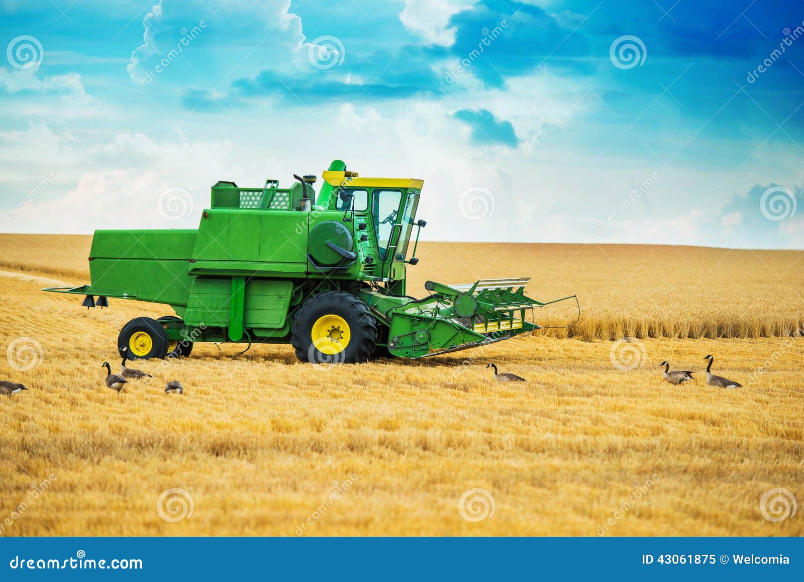 Harvester at Work stock image. Image of field, harvester - 43061875