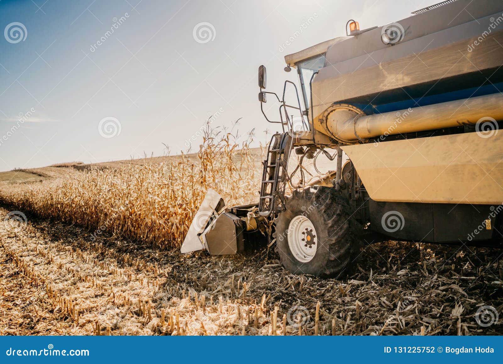 Harvester Farmer Using Tractor With Rotary Rakes For Collecting Hay ...