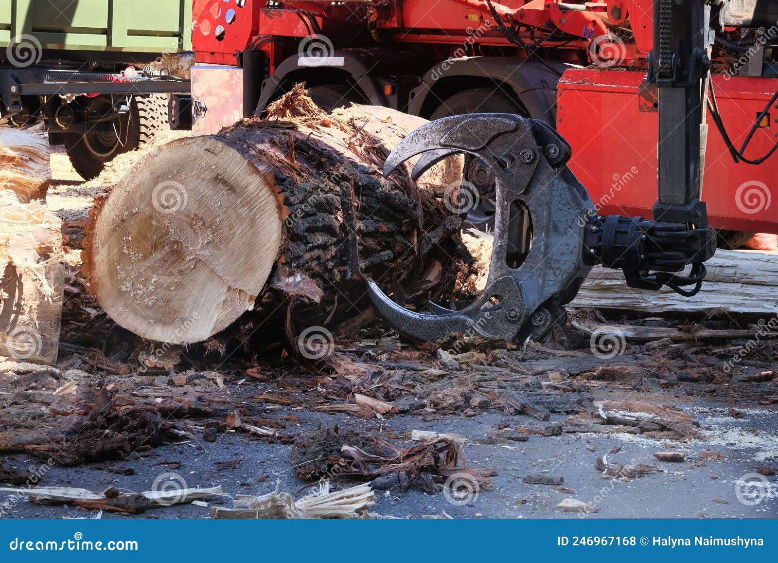 Loading Equipment For Logging. Log Loader For Timber, Logs. Log Loader ...