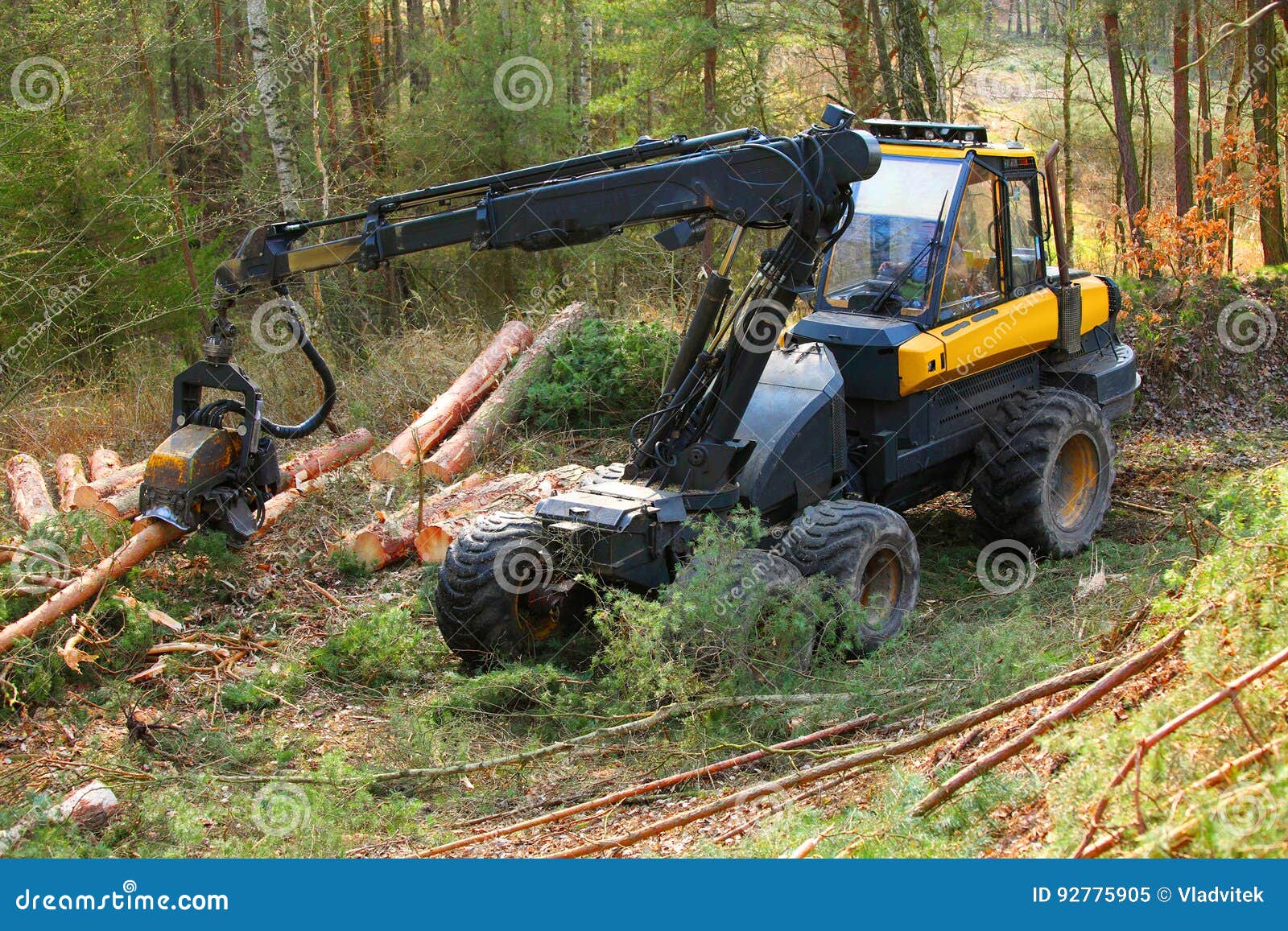 The Harvester Working in a Forest. Stock Image - Image of ecology, fuel ...