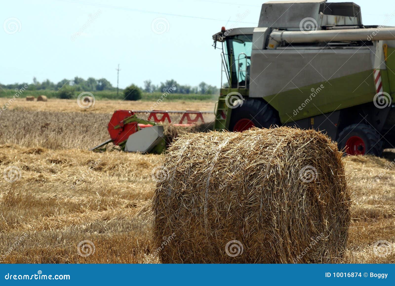 Harvesting stock photo. Image of countryside, summer - 10016874