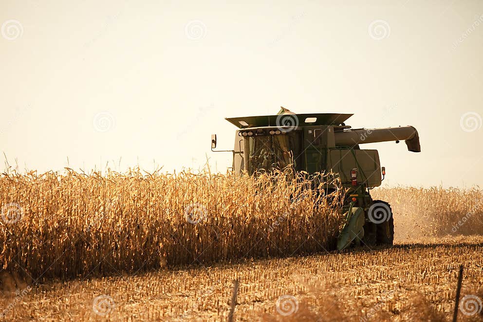 Harvesting stock image. Image of agricultural, machinery - 13250177